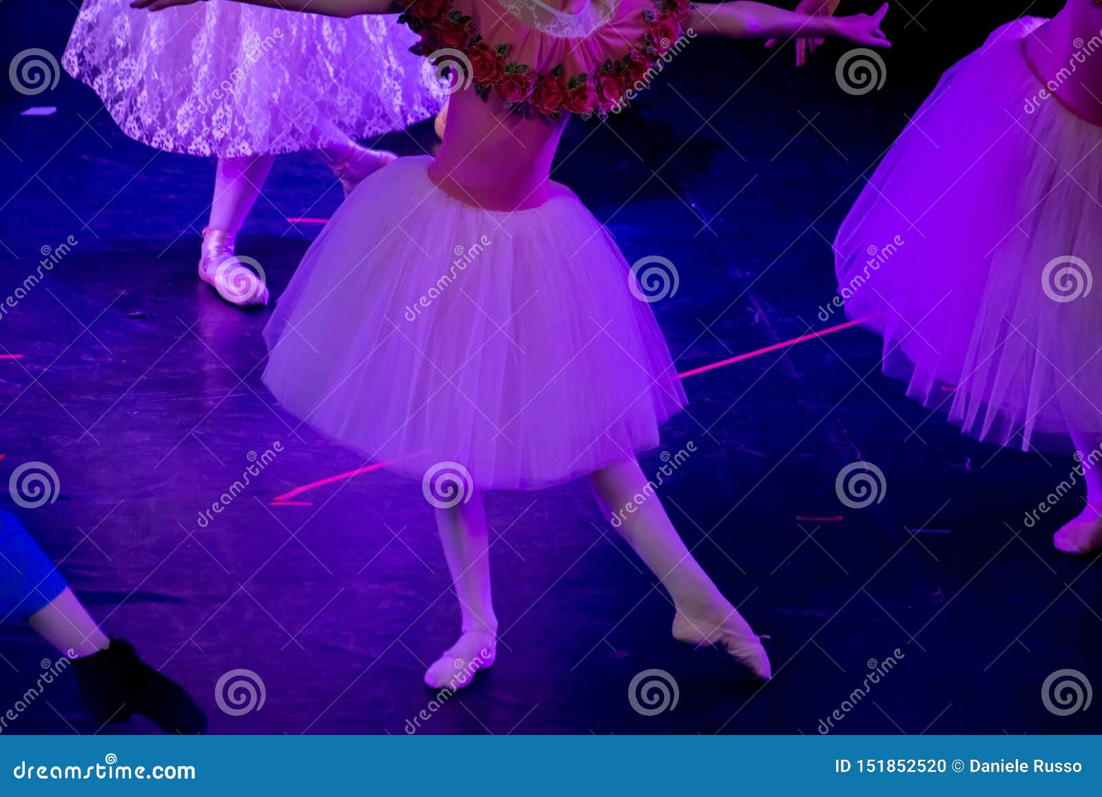 Ballet Dancers Under Purple Light with Classical Dresses Performing a ...