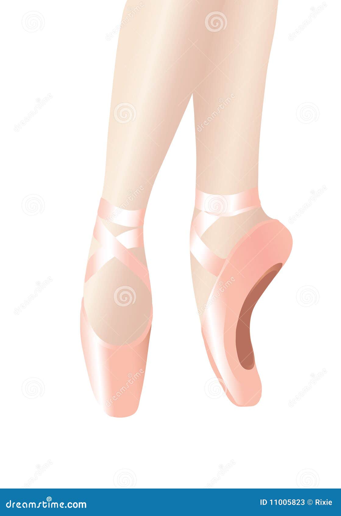 Ballet legs stock vector. Illustration of dance, perform - 11005823