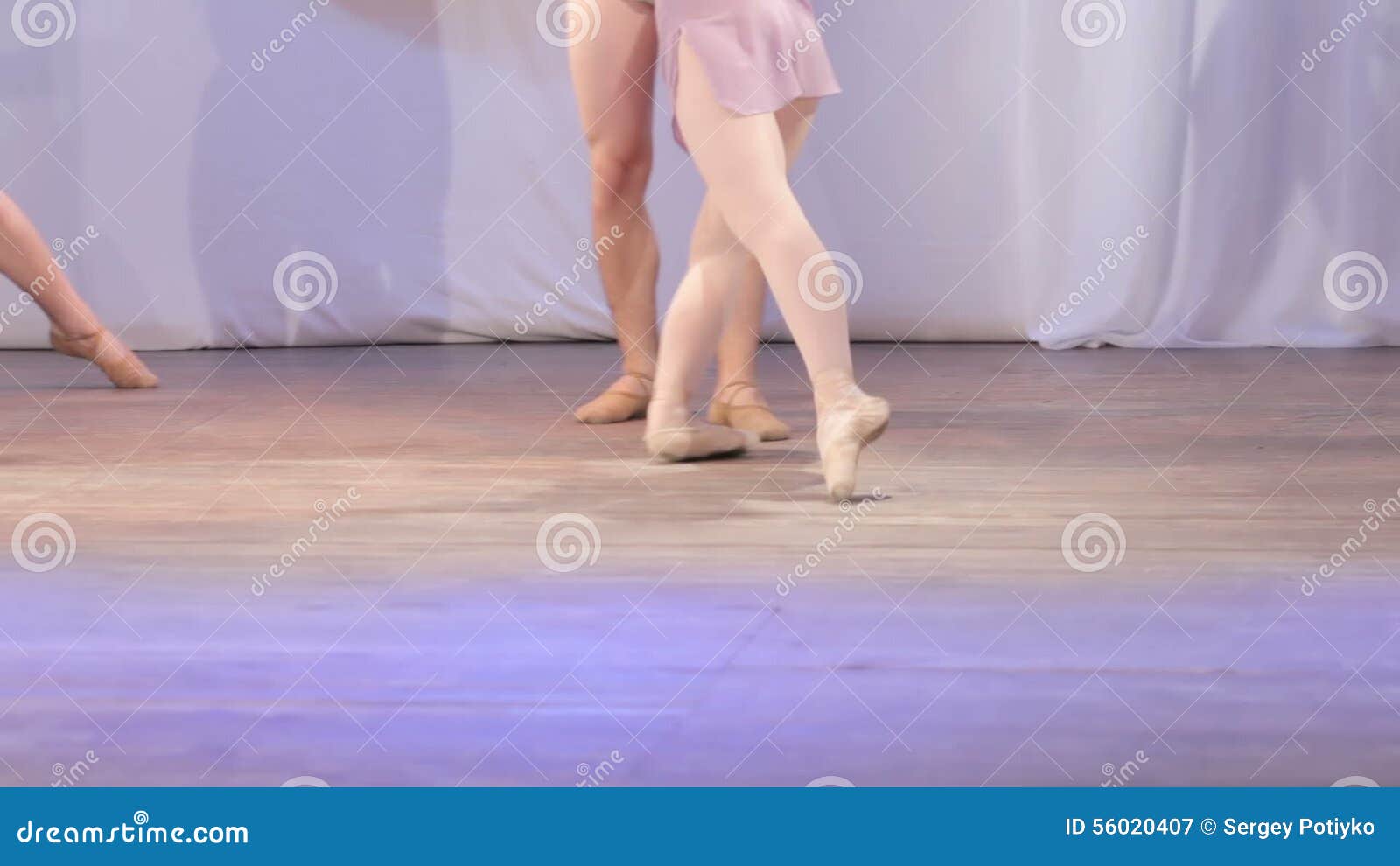 Ballet pair feet stock video. Video of performer, beauty - 56020407