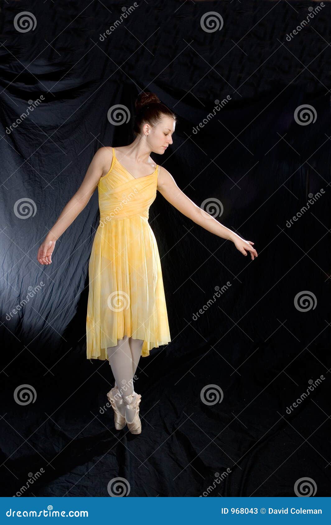 Ballet on Pointe stock image. Image of classic, pretty - 968043