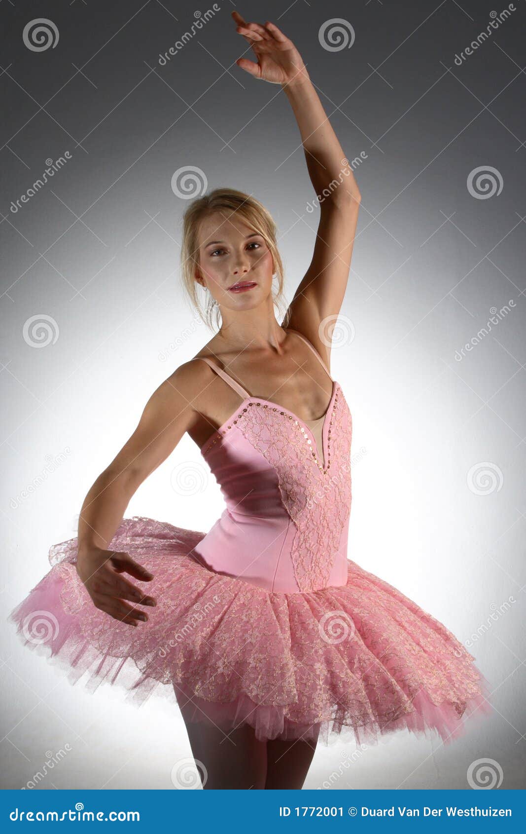 Ballet Pose Stock Image - Image: 1772001