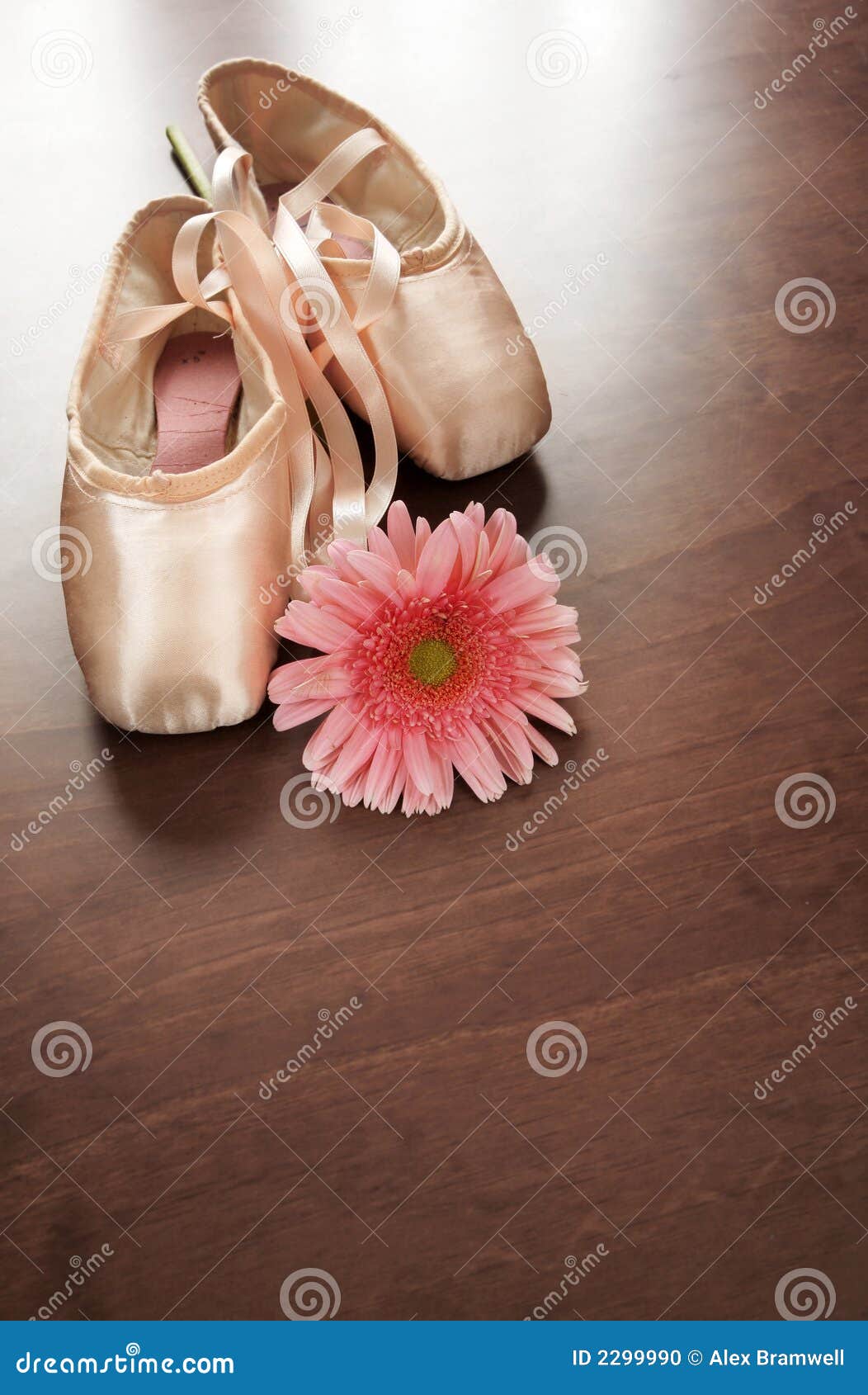 Ballet Shoes and Flower stock photo. Image of point, shoe - 2299990