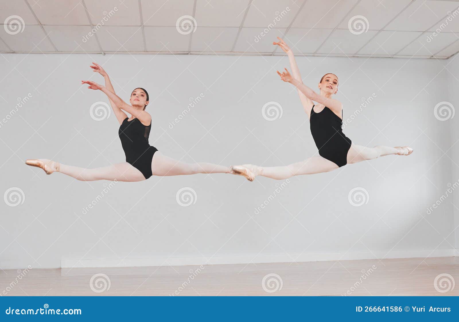With Ballet, the Sky is the Limit. Portrait of Two Ballet Dancers ...