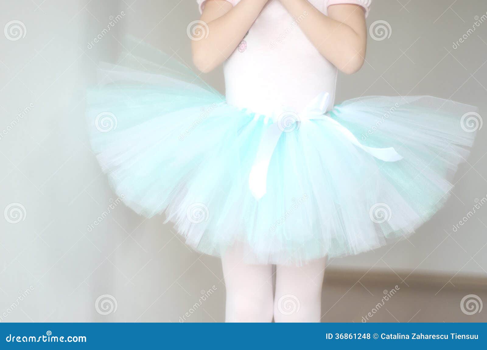 Ballet Tutu closeup stock photo. Image of pure, vignette - 36861248