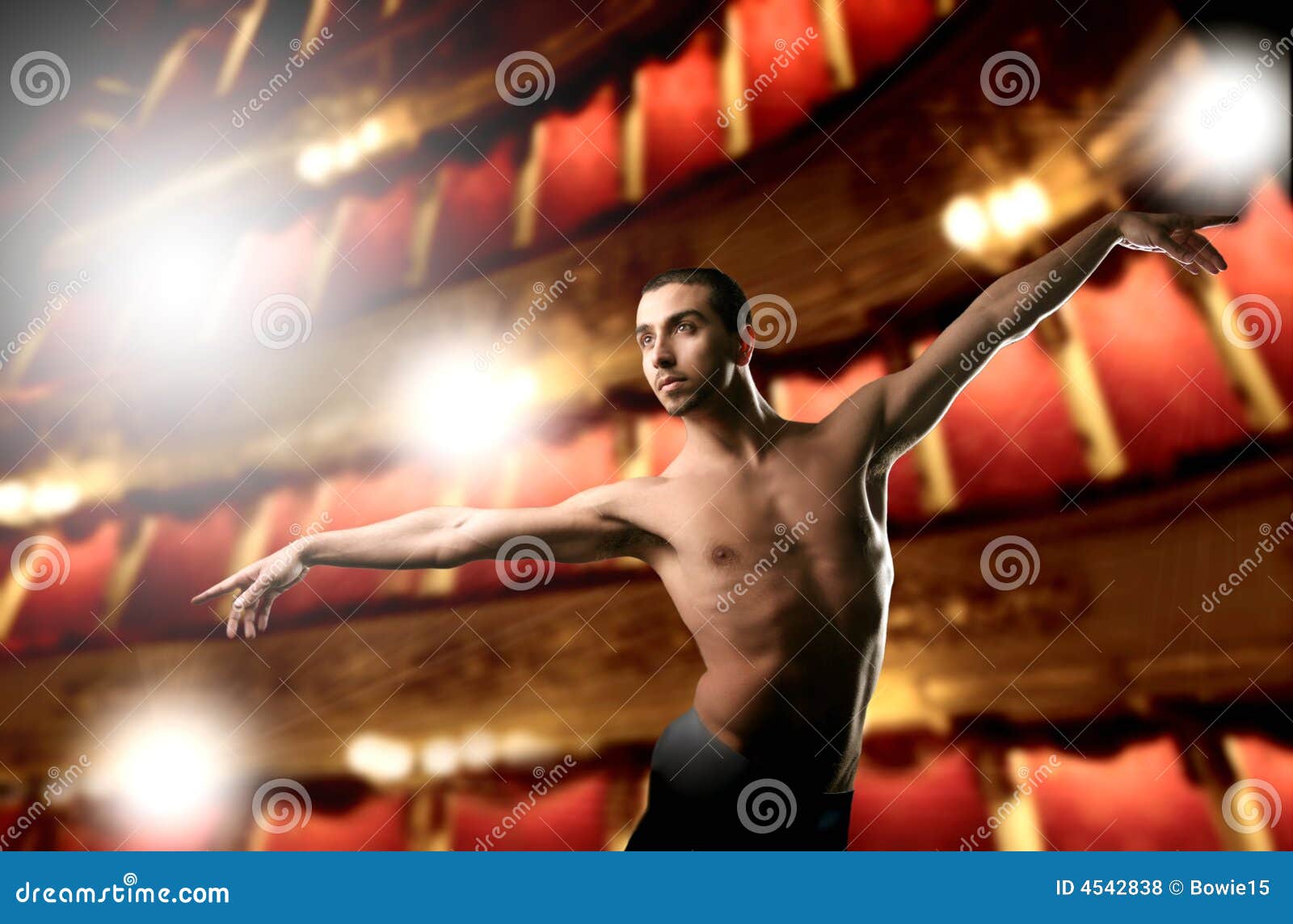 Balletto fotografia stock. Immagine di spettatore, classico - 4542838