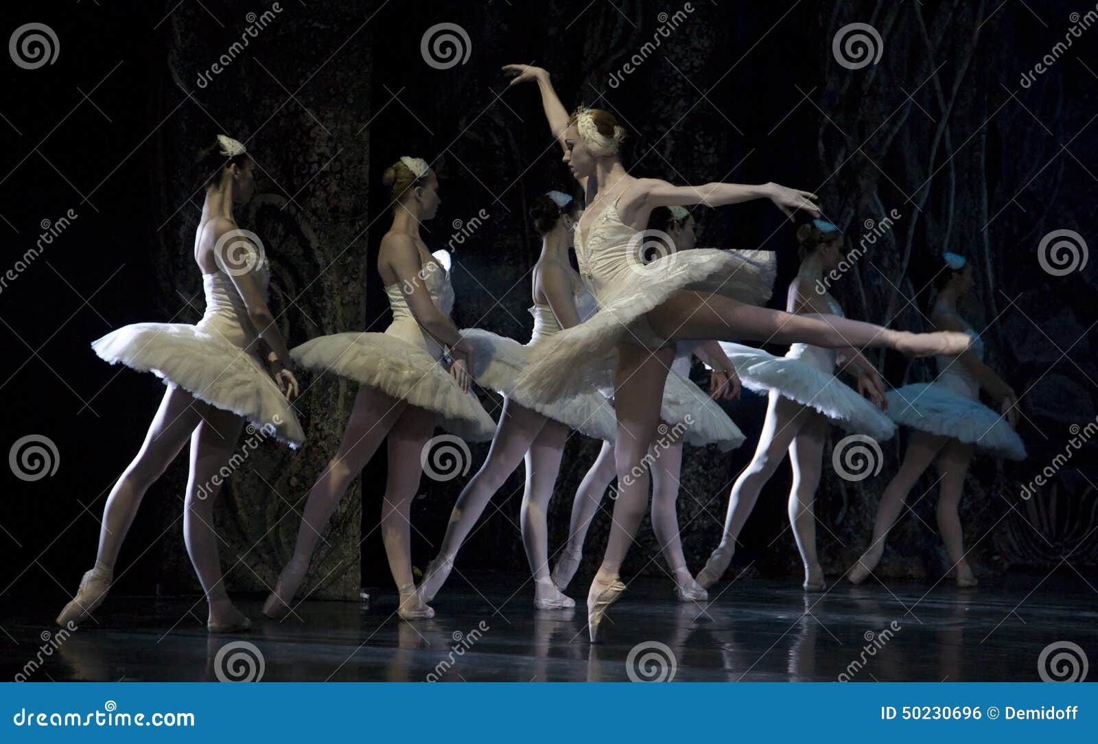 Balletto fotografia editoriale. Immagine di ballerina - 50230696