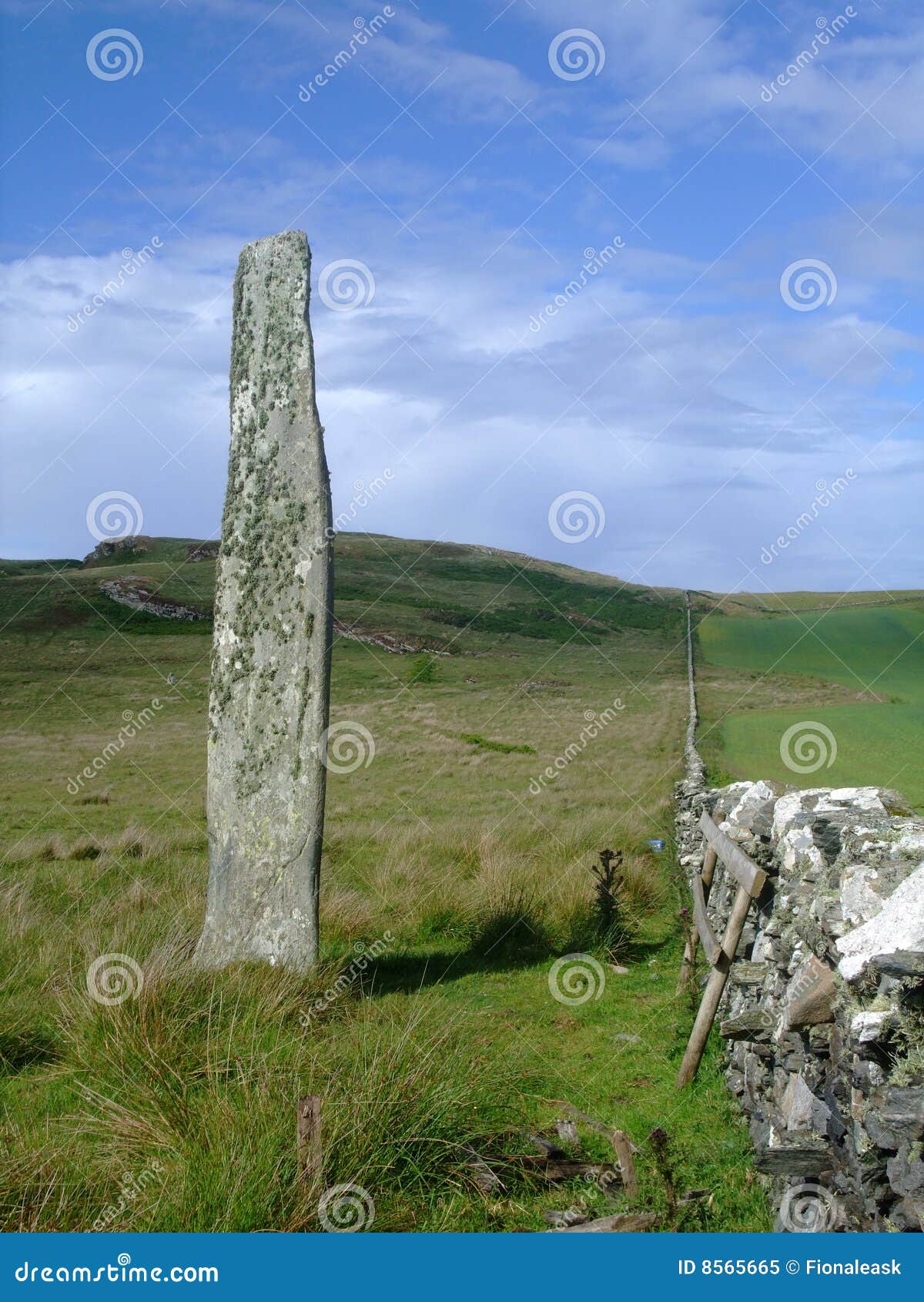 Ballinaby Standing Stone, Isle of Islay, Scotland Stock Image - Image ...
