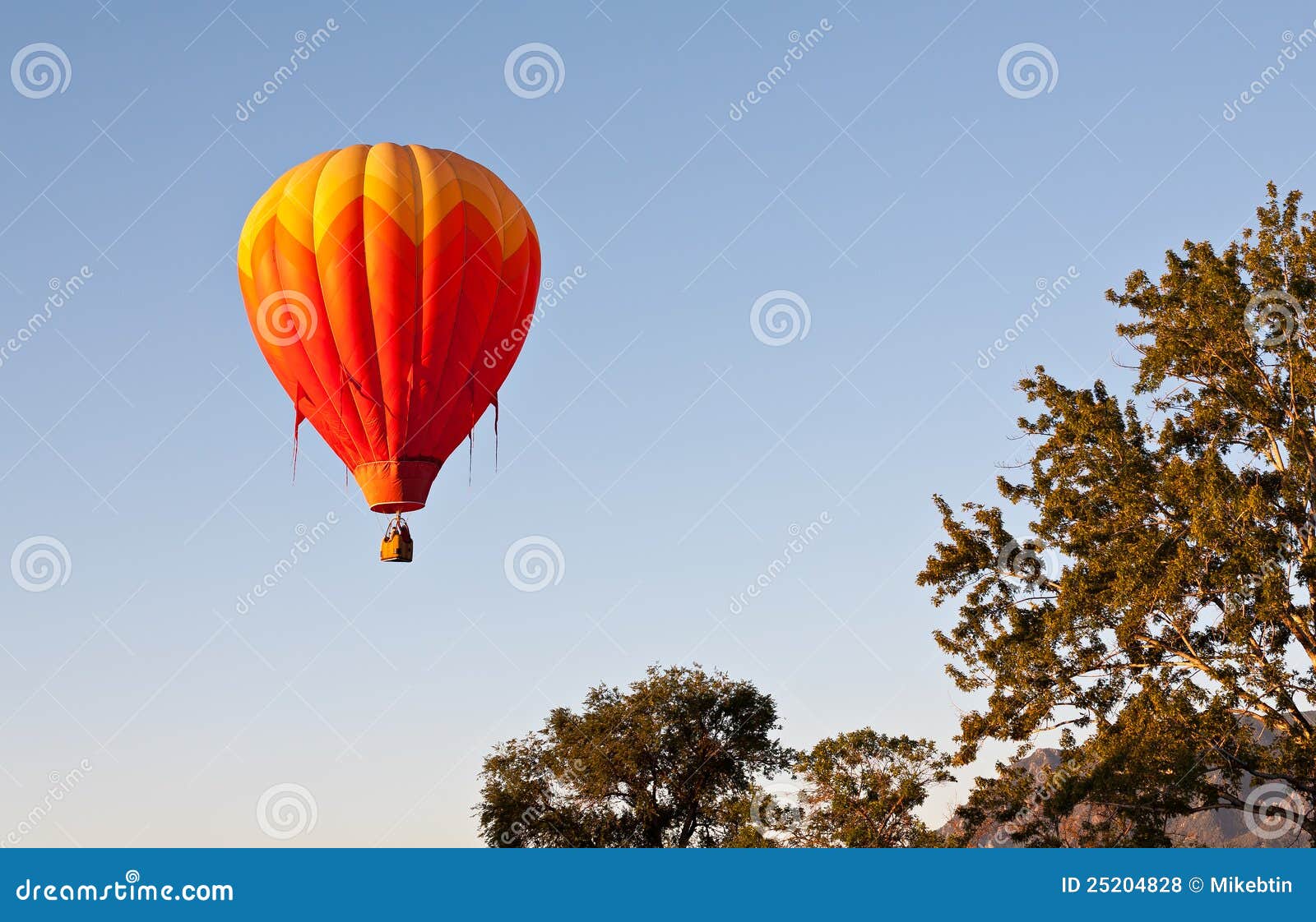 Balloon Above the Treetops stock photo. Image of happiness - 25204828
