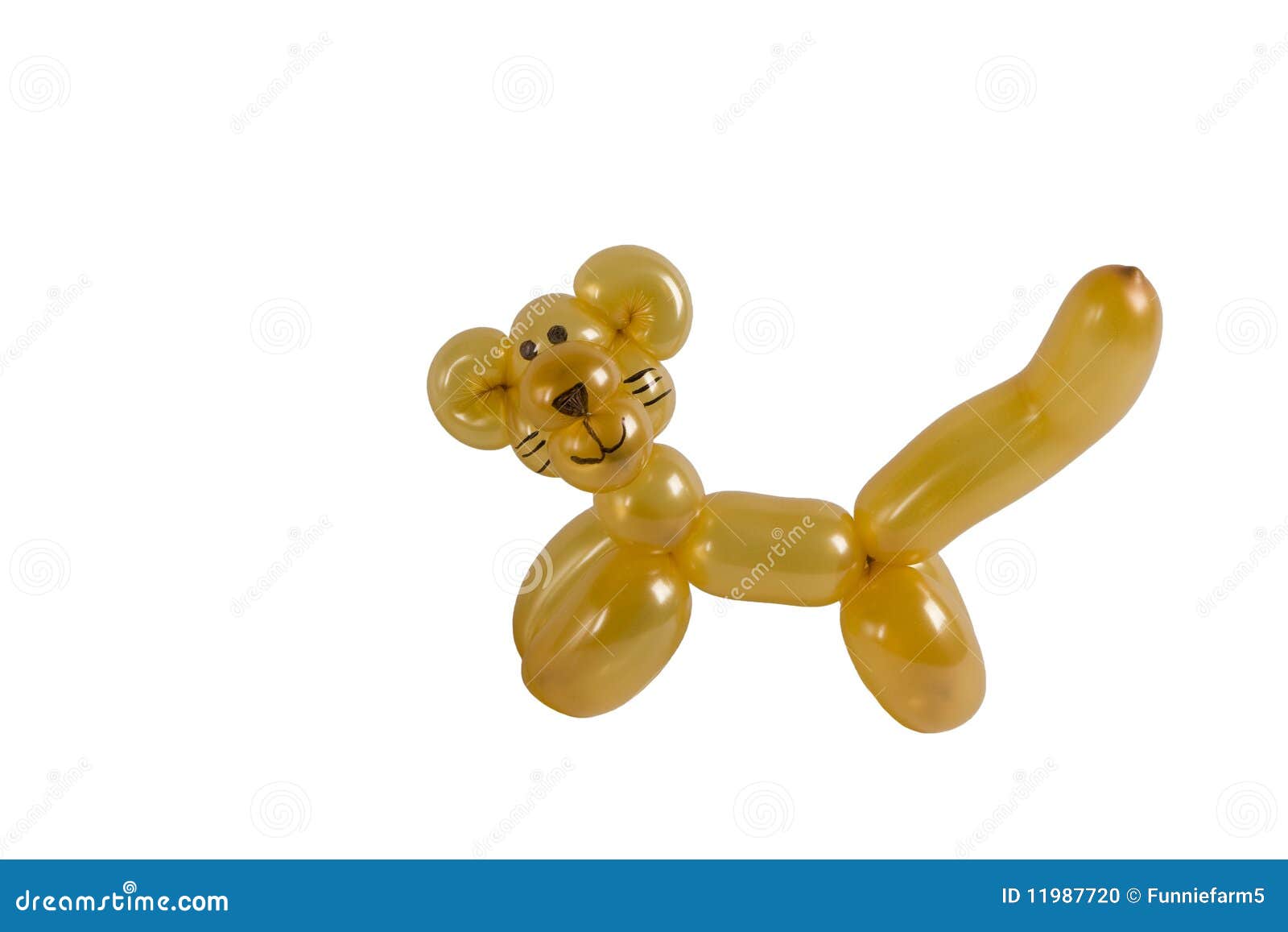 Balloon Animal Cat Isolated Stock Photo - Image of cute, entertainment ...