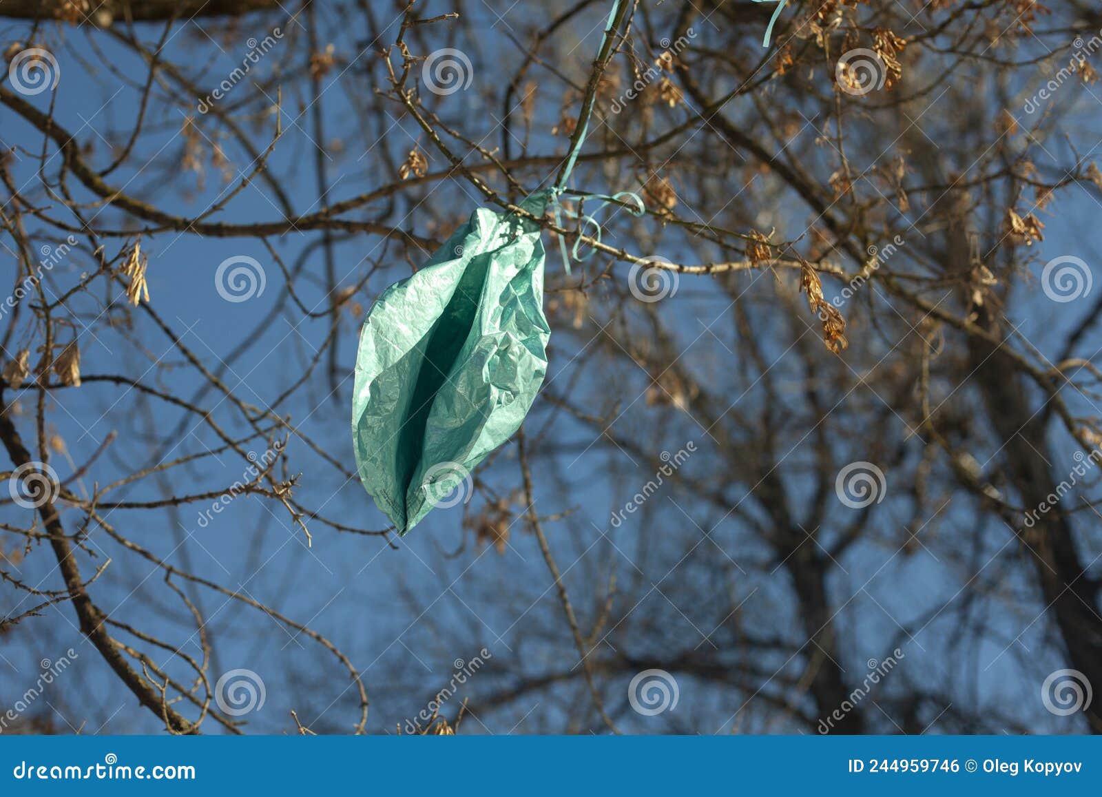 Balloon Caught on Branches. Deflated Ball Hangs from Tree Stock Photo ...