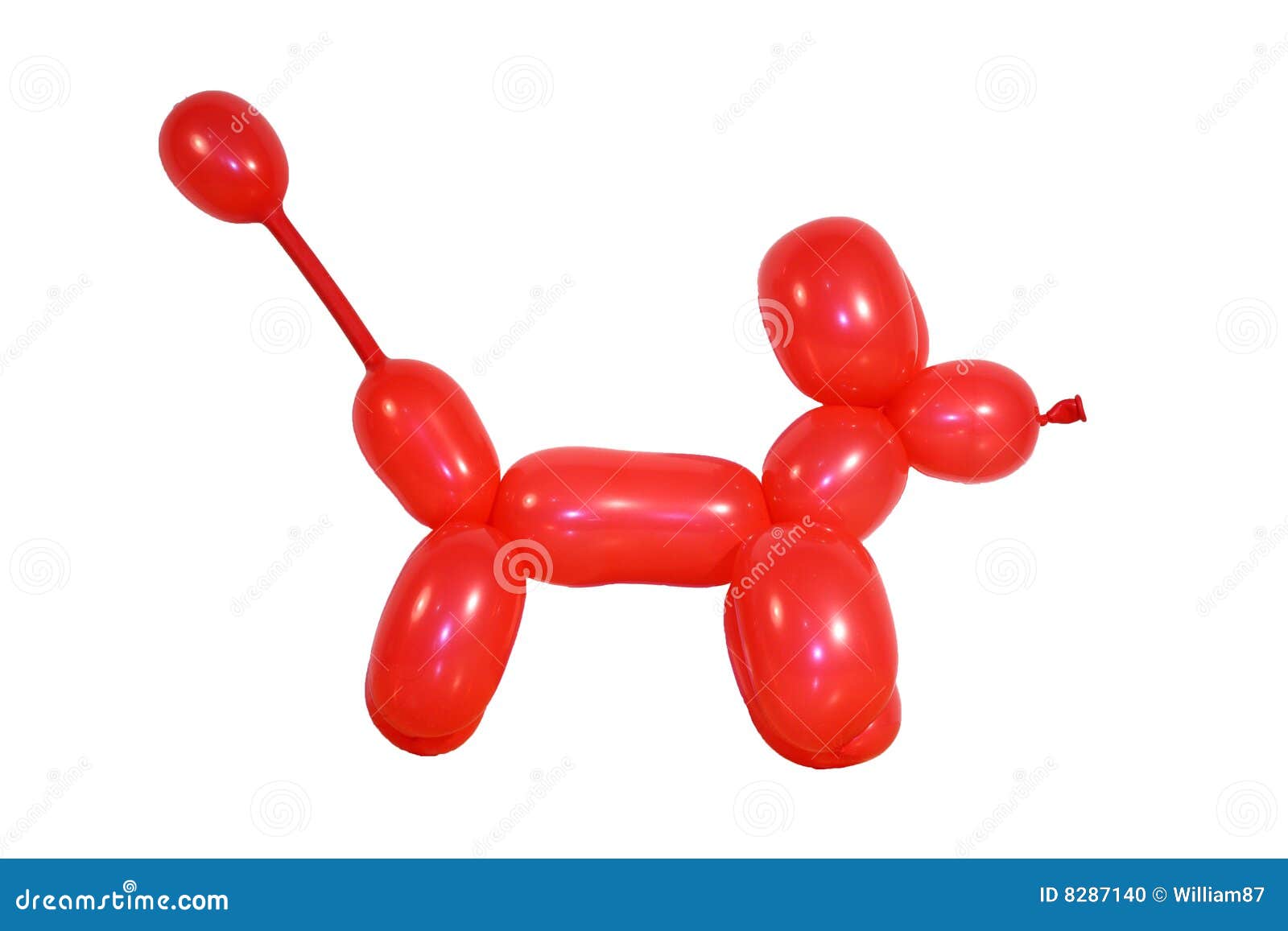 Balloon dog stock photo. Image of decoration, model, inflated - 8287140