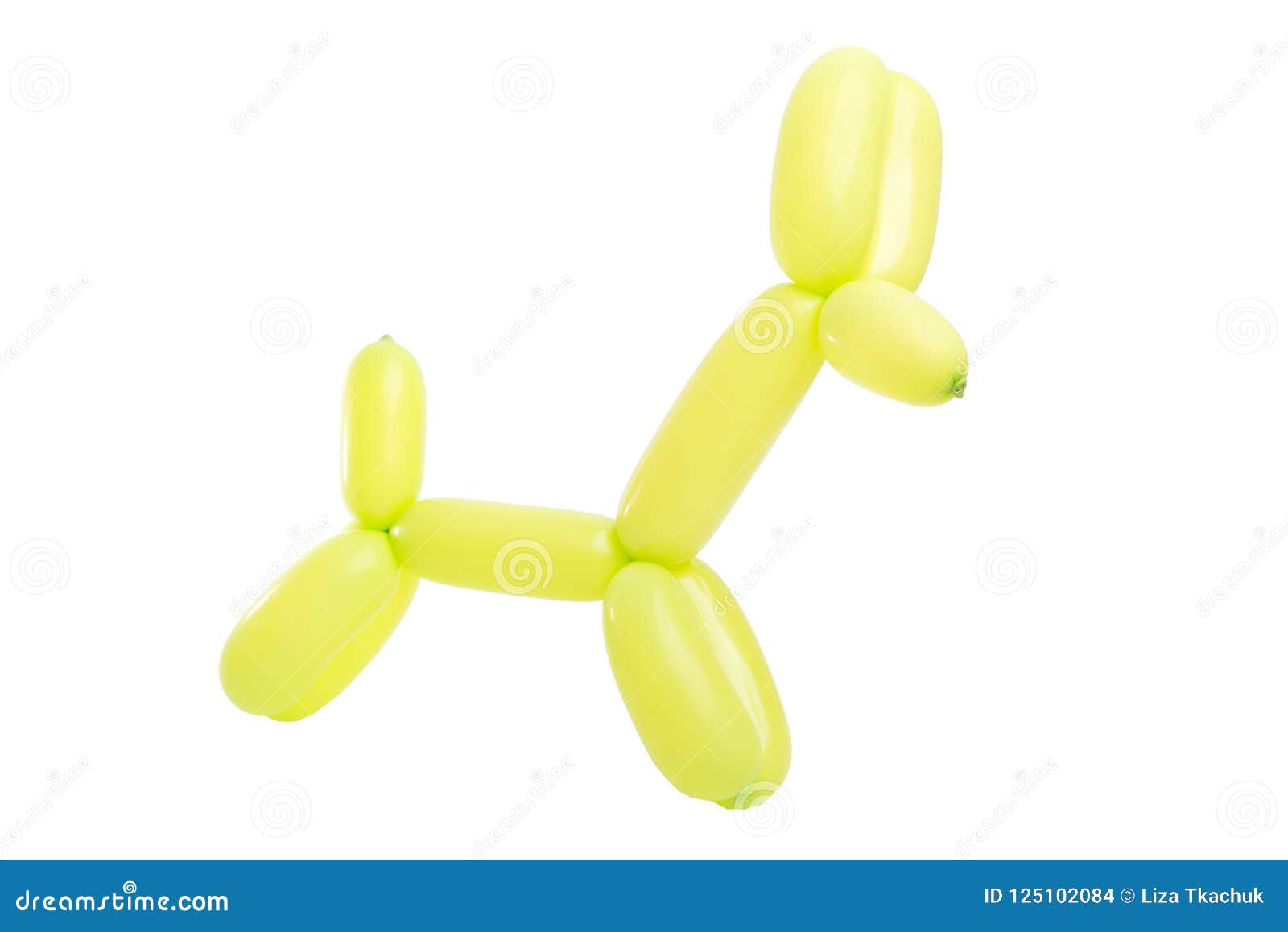 Balloon dog isolated stock photo. Image of entertainment - 125102084