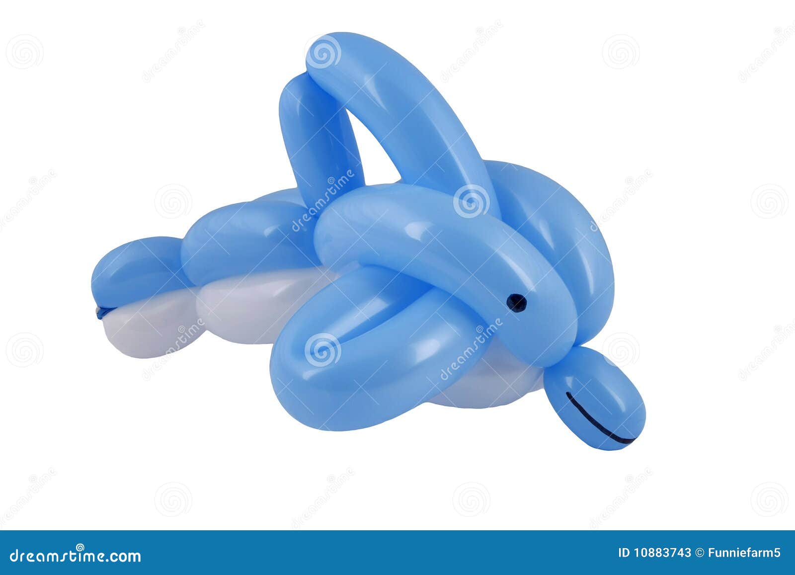 Balloon Dolphin Isolated on White Stock Image - Image of playful ...