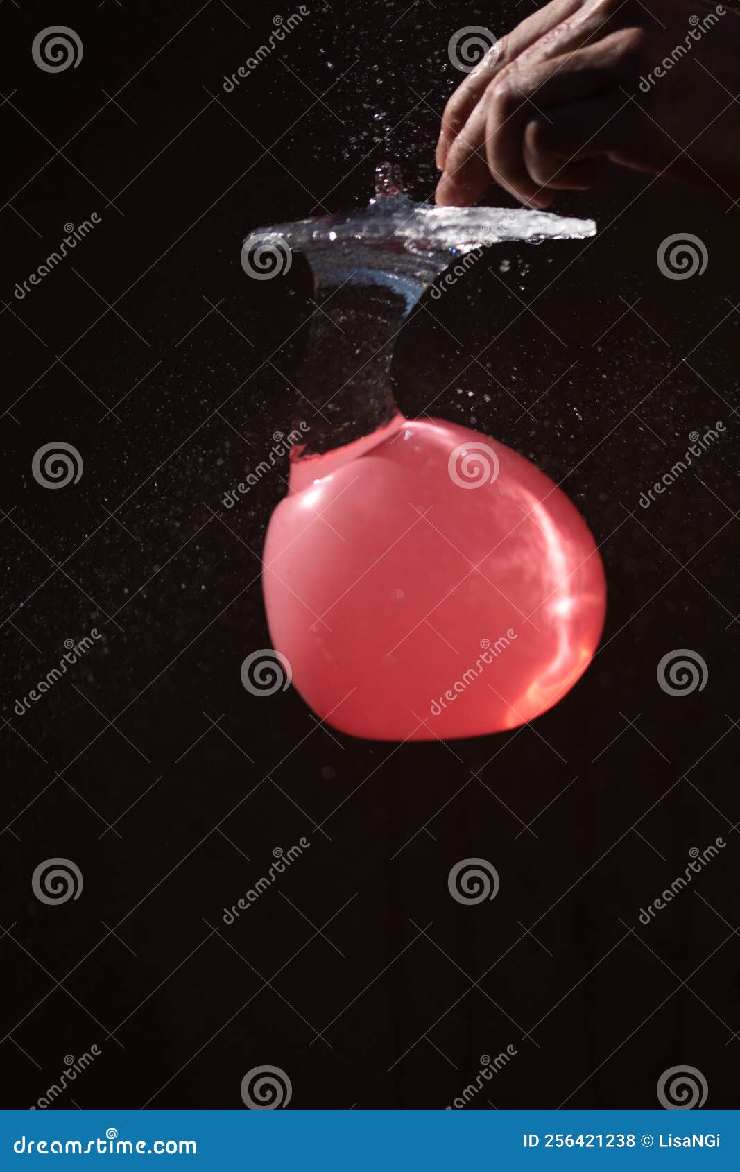 Balloon Filled with Water is Punctured Stock Photo - Image of impact ...