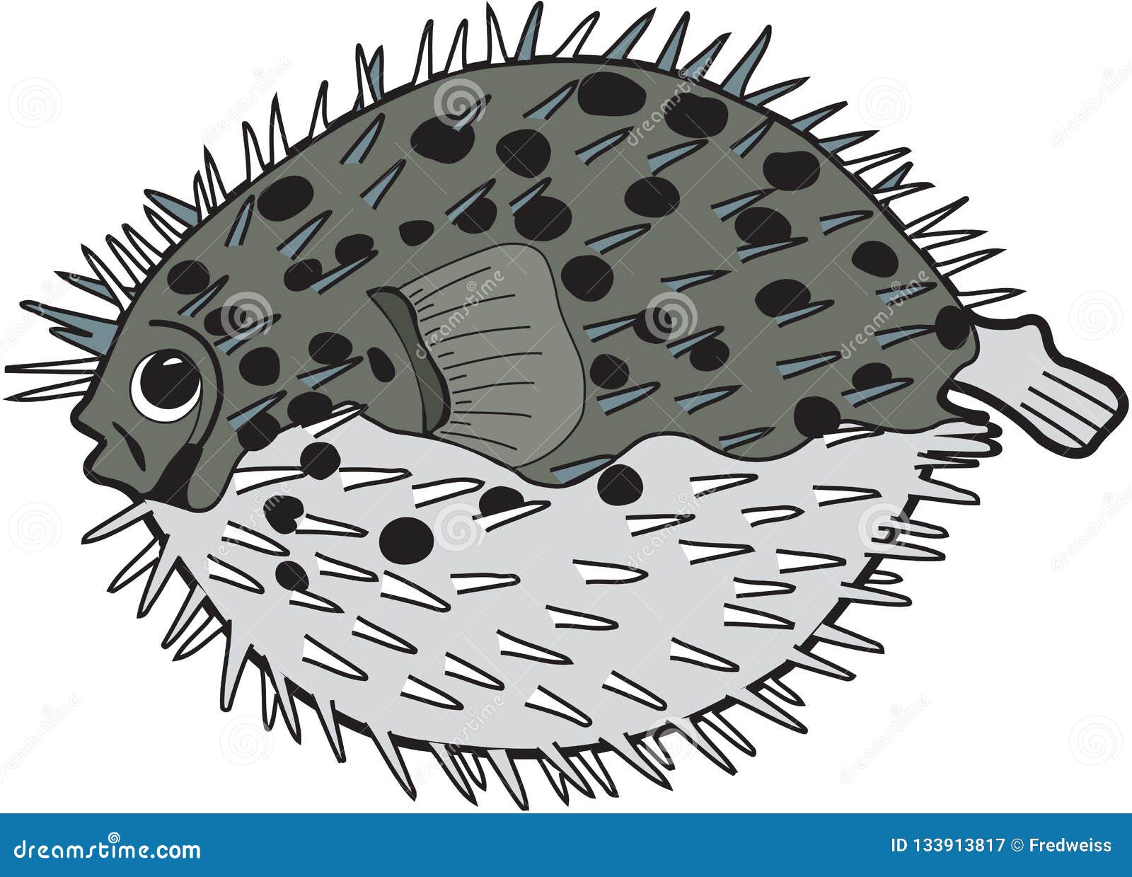 Balloon Fish Vector Illustration Transparent Background | CartoonDealer ...