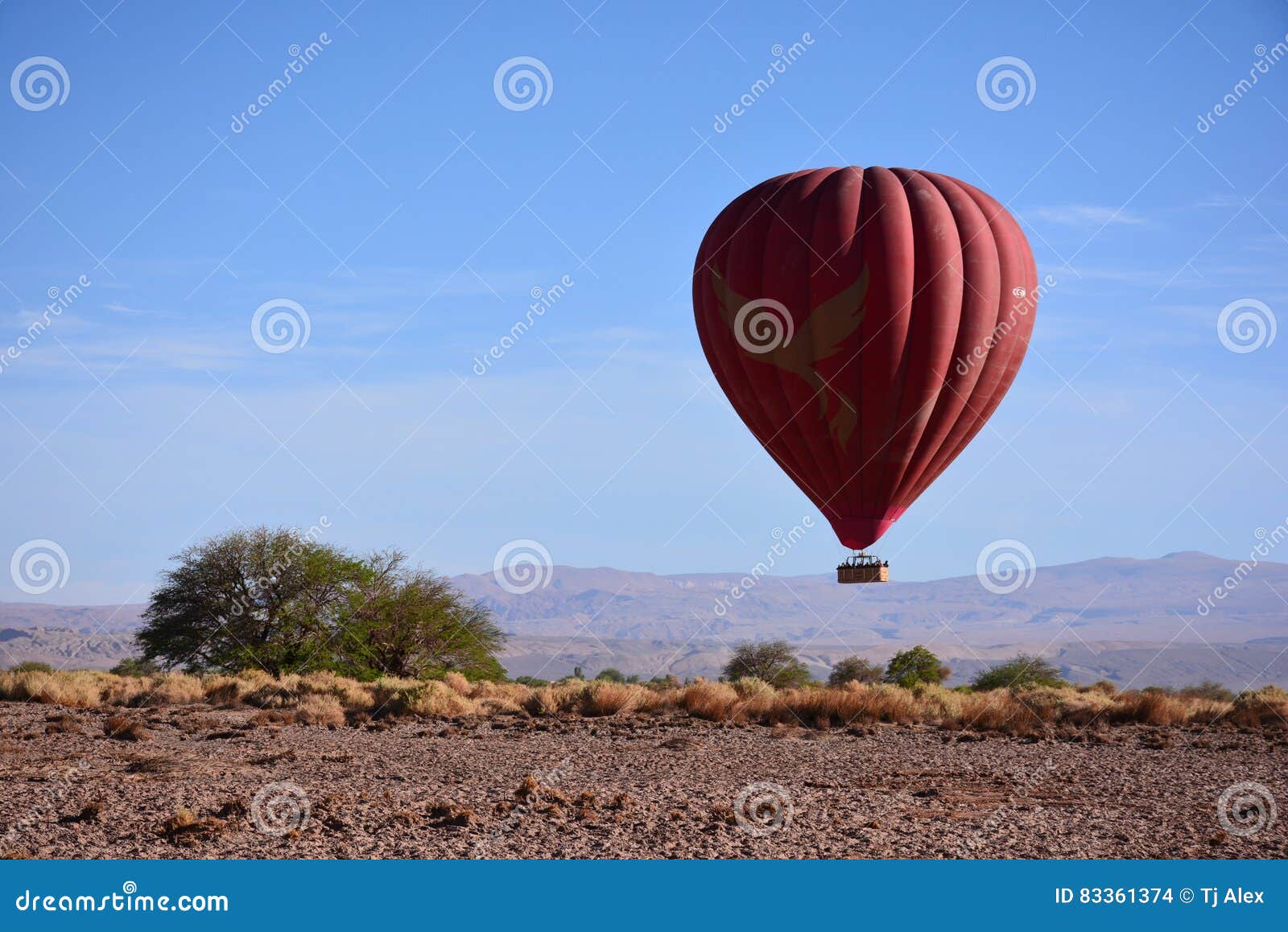 Balloon Over Atacama Desert in Chile Editorial Stock Image - Image of ...