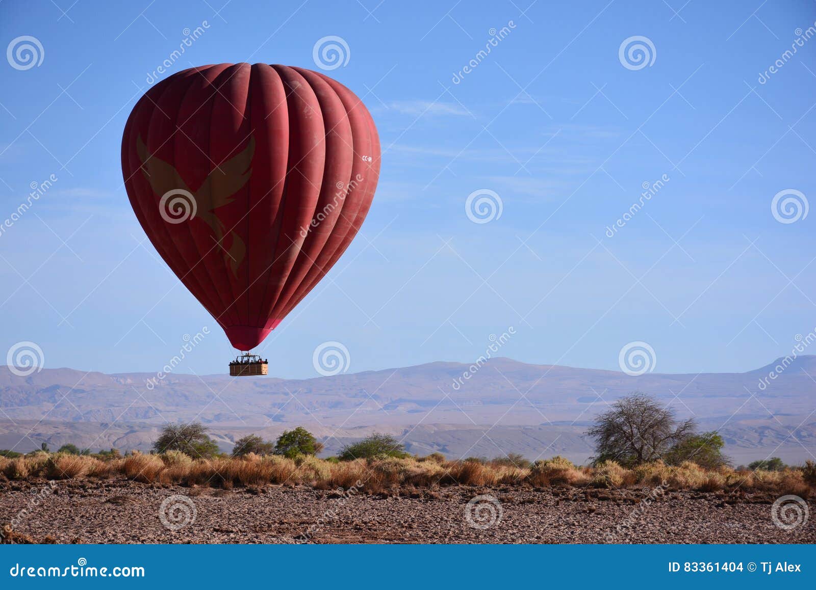 Balloon Over Atacama Desert in Chile Editorial Stock Image - Image of ...