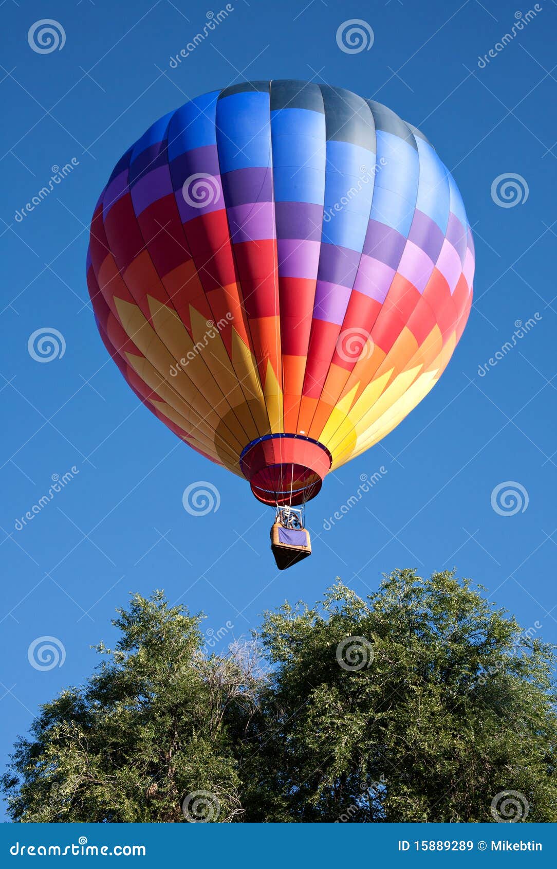 Balloon Over Tree stock image. Image of drifting, flight - 15889289