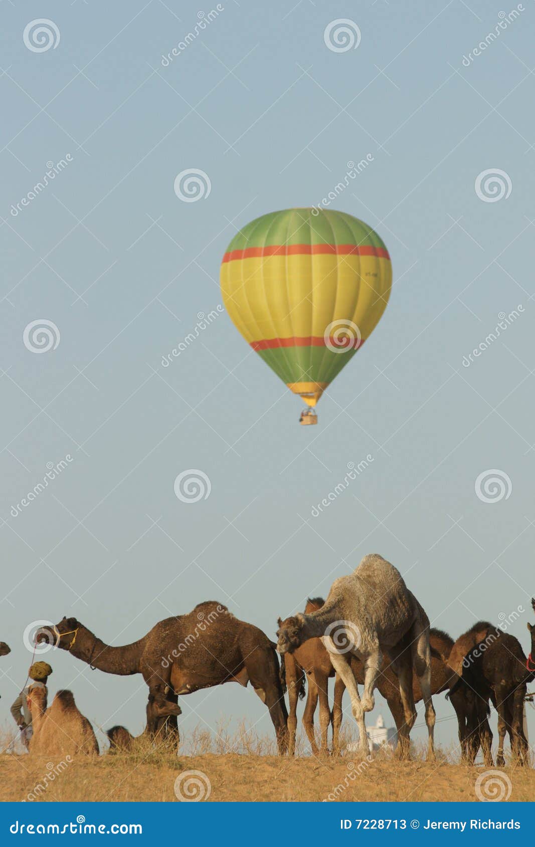 Balloon at the Pushkar Camel Fair Stock Image - Image of domsticated ...