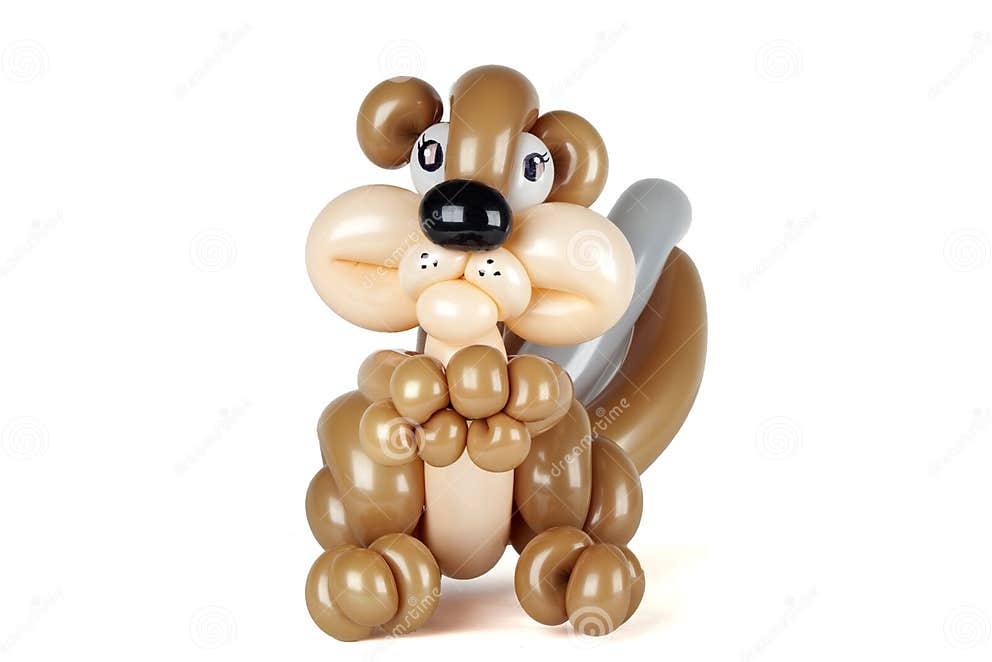 Balloon Squirrel stock photo. Image of children, creativity - 9031548