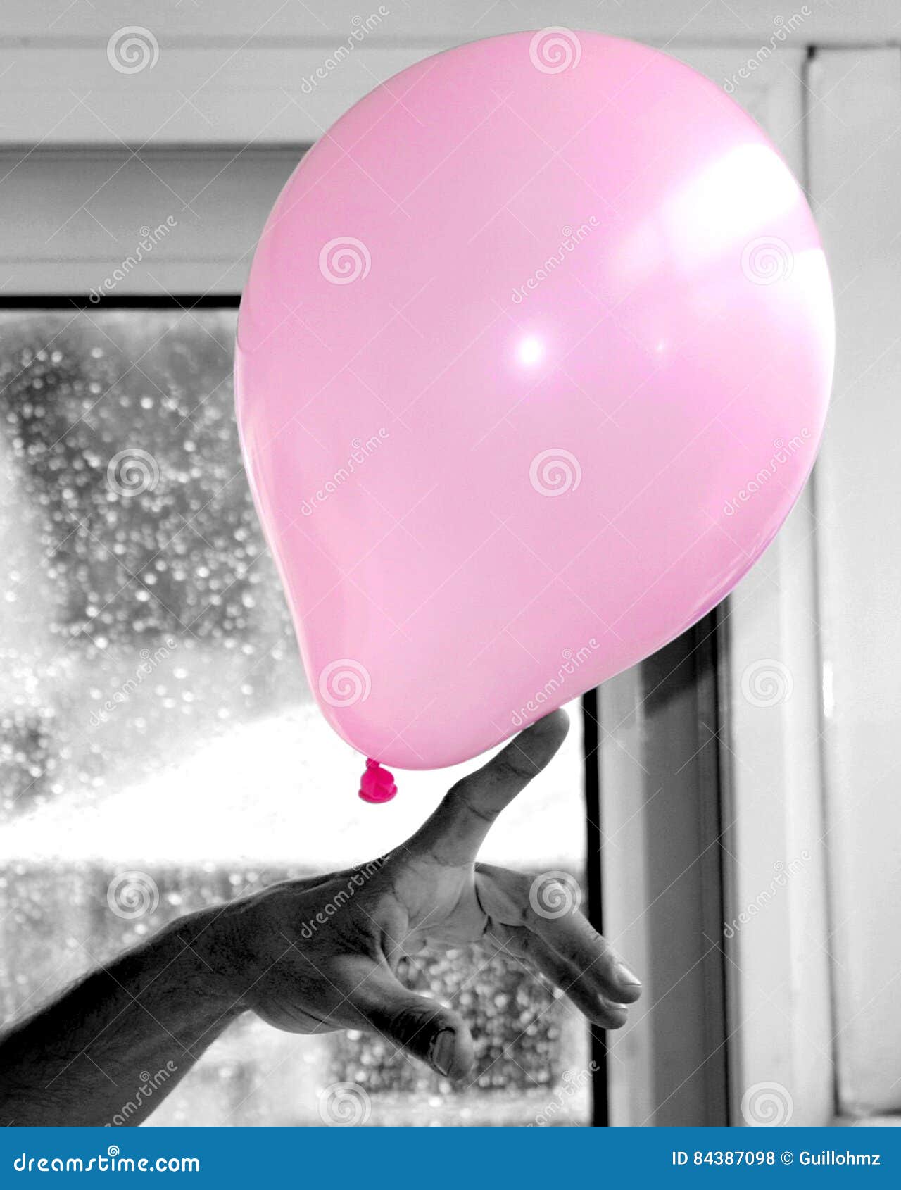 Balloon still life stock photo. Image of life, flight - 84387098