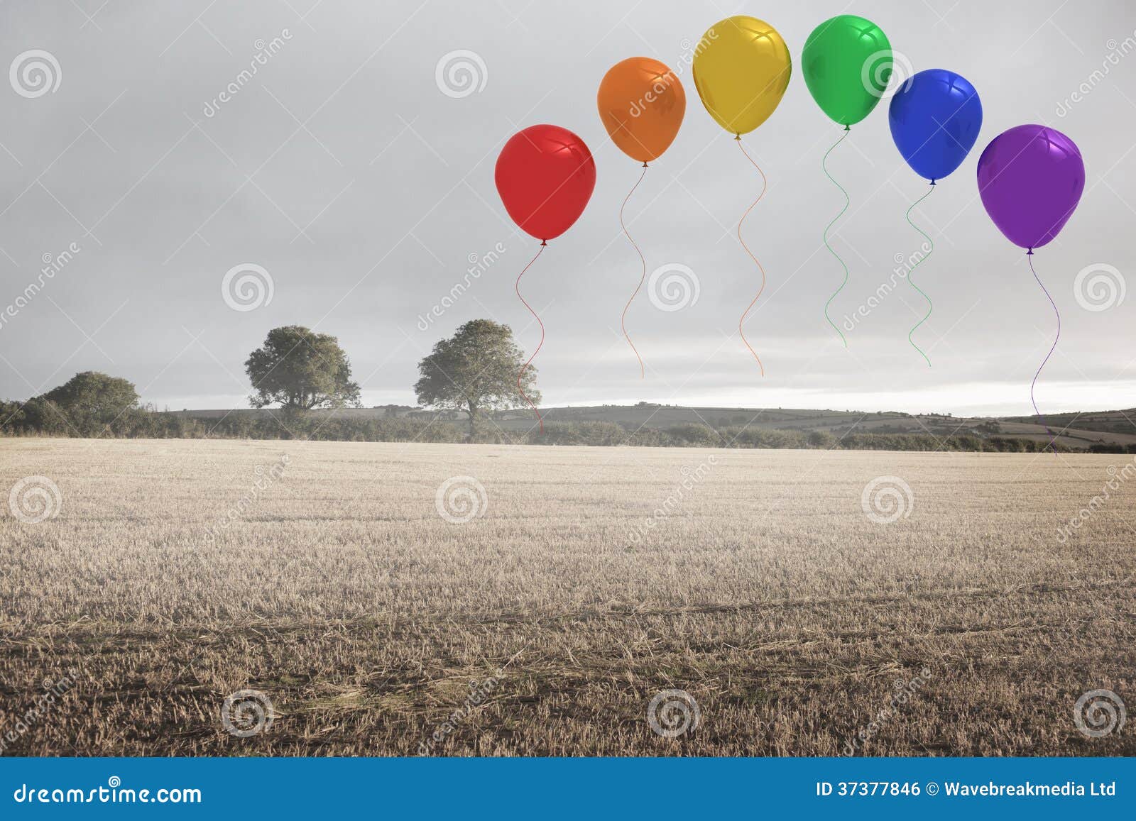 Balloons above a field stock illustration. Illustration of balloon ...
