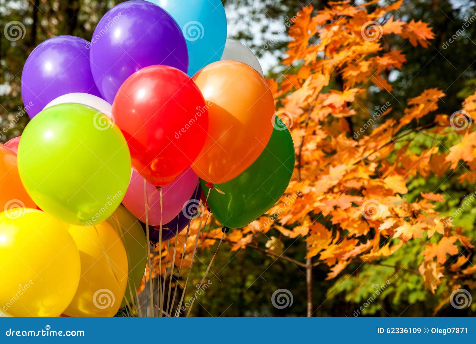 Balloons in Autumn Park Yellow Autumn Time Stock Image - Image of leaf ...