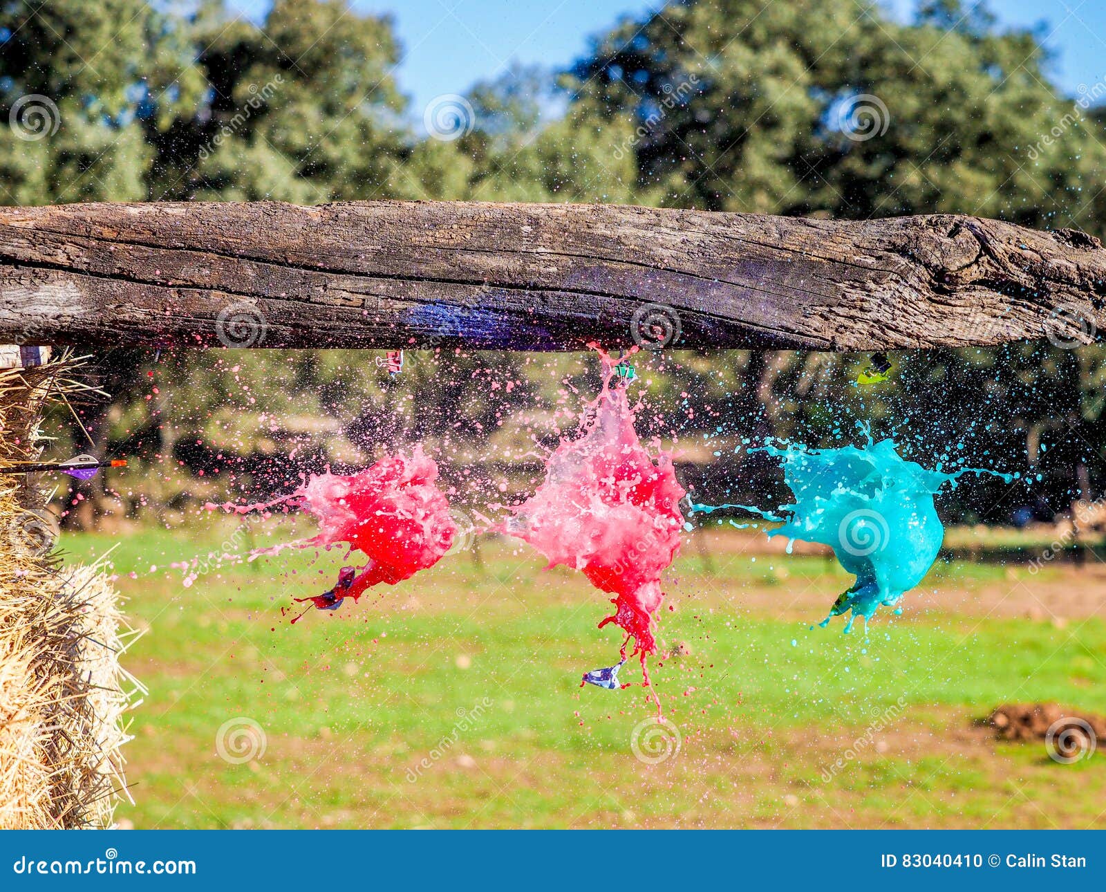 Balloons Exploding when Hit by an Arrow. Closeup Hi-speed Shot Stock ...
