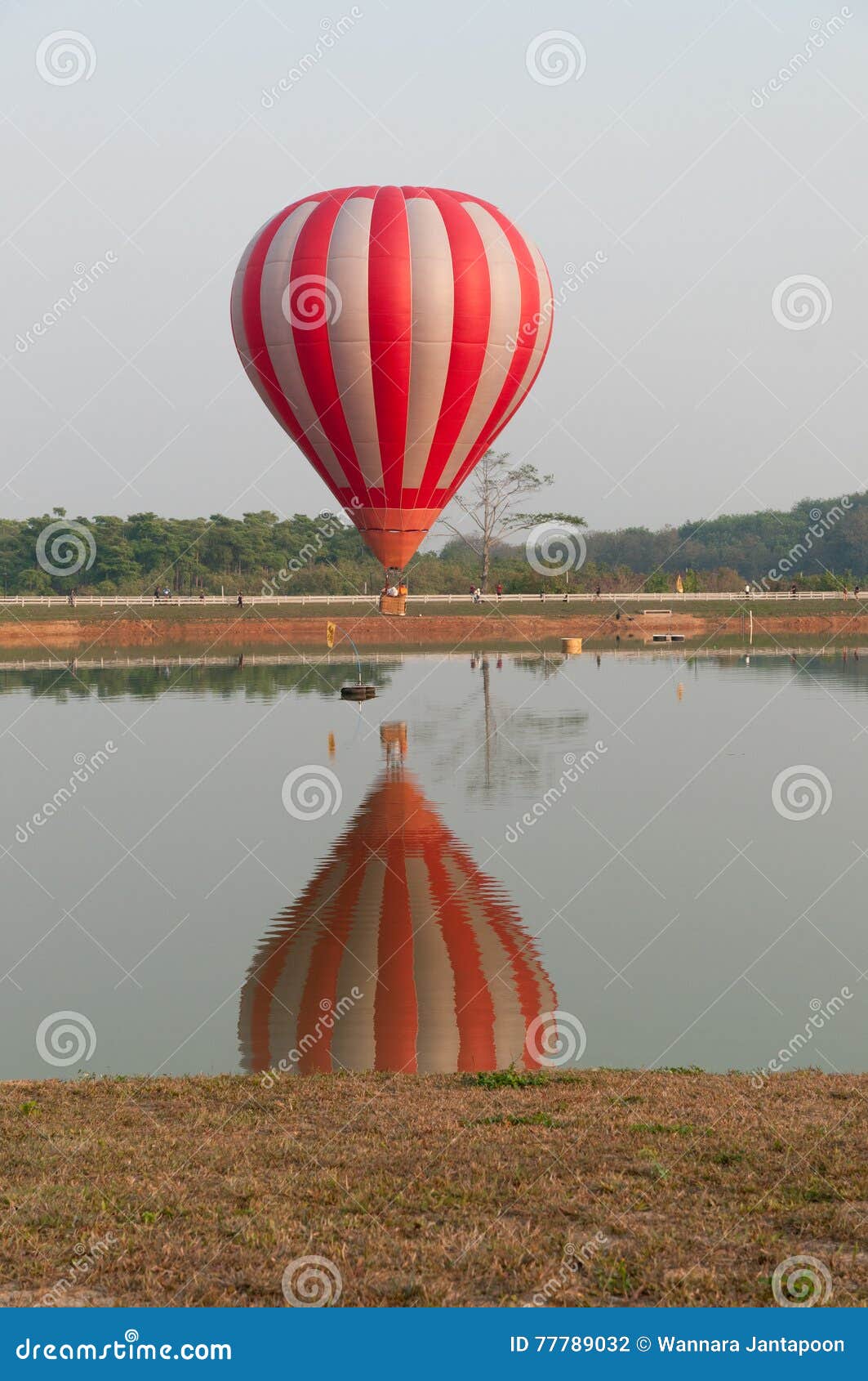 Balloons stock photo. Image of paradise, nature, agriculture - 77789032