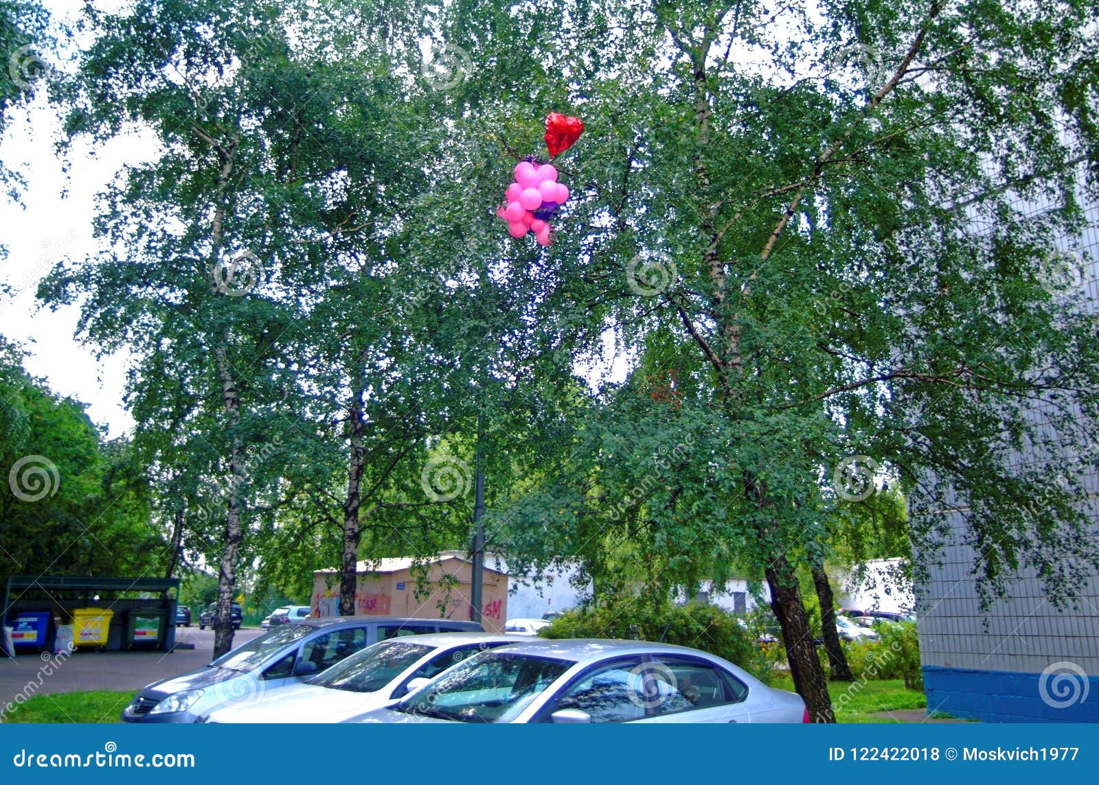 Balloons Stuck in the Branches of a Tree Stock Photo - Image of ...