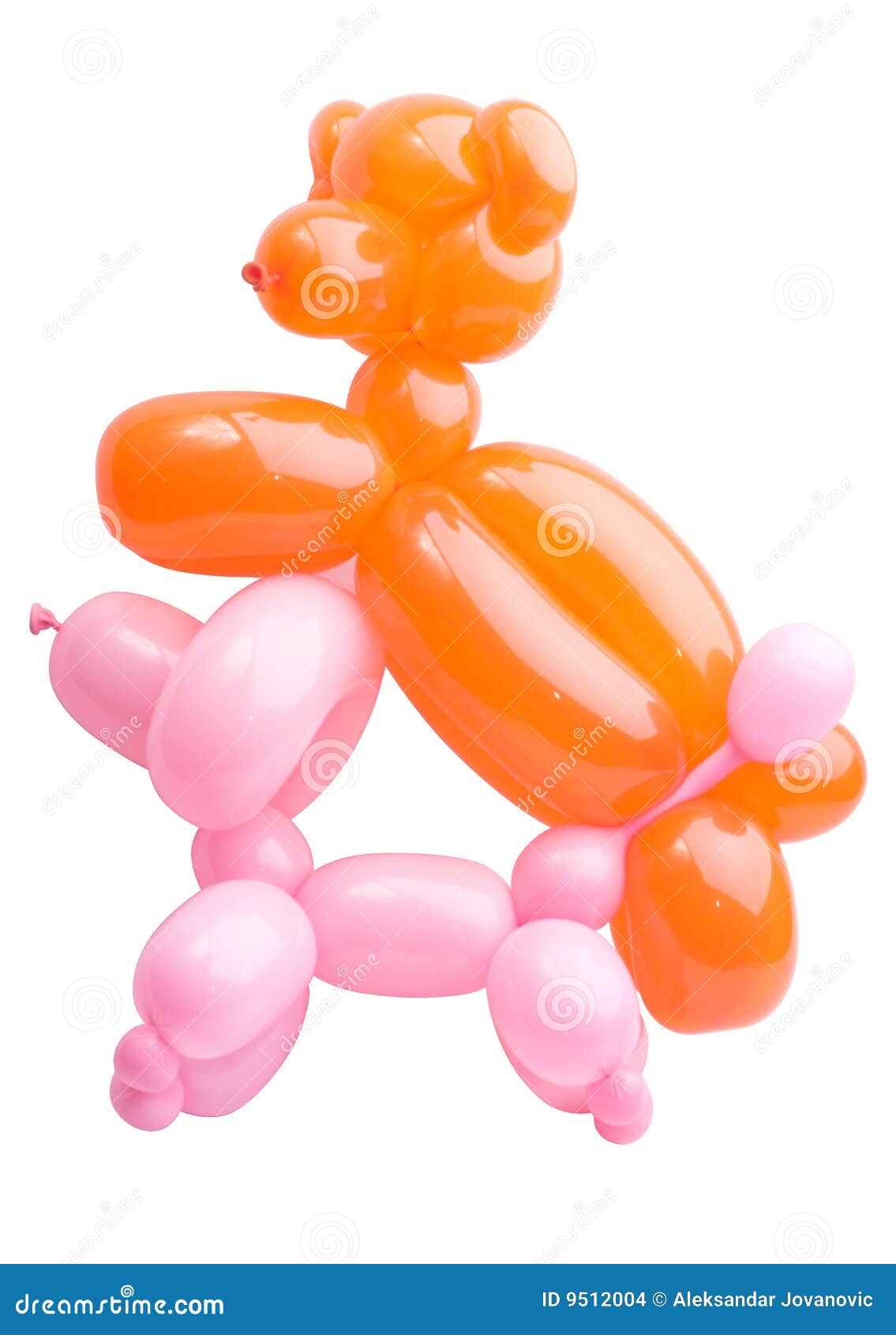 Balloons twisted into pets stock photo. Image of balloon - 9512004