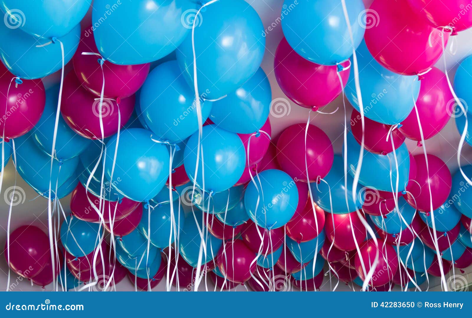 Balloons Up stock photo. Image of helium, colorful, celebration - 42283650