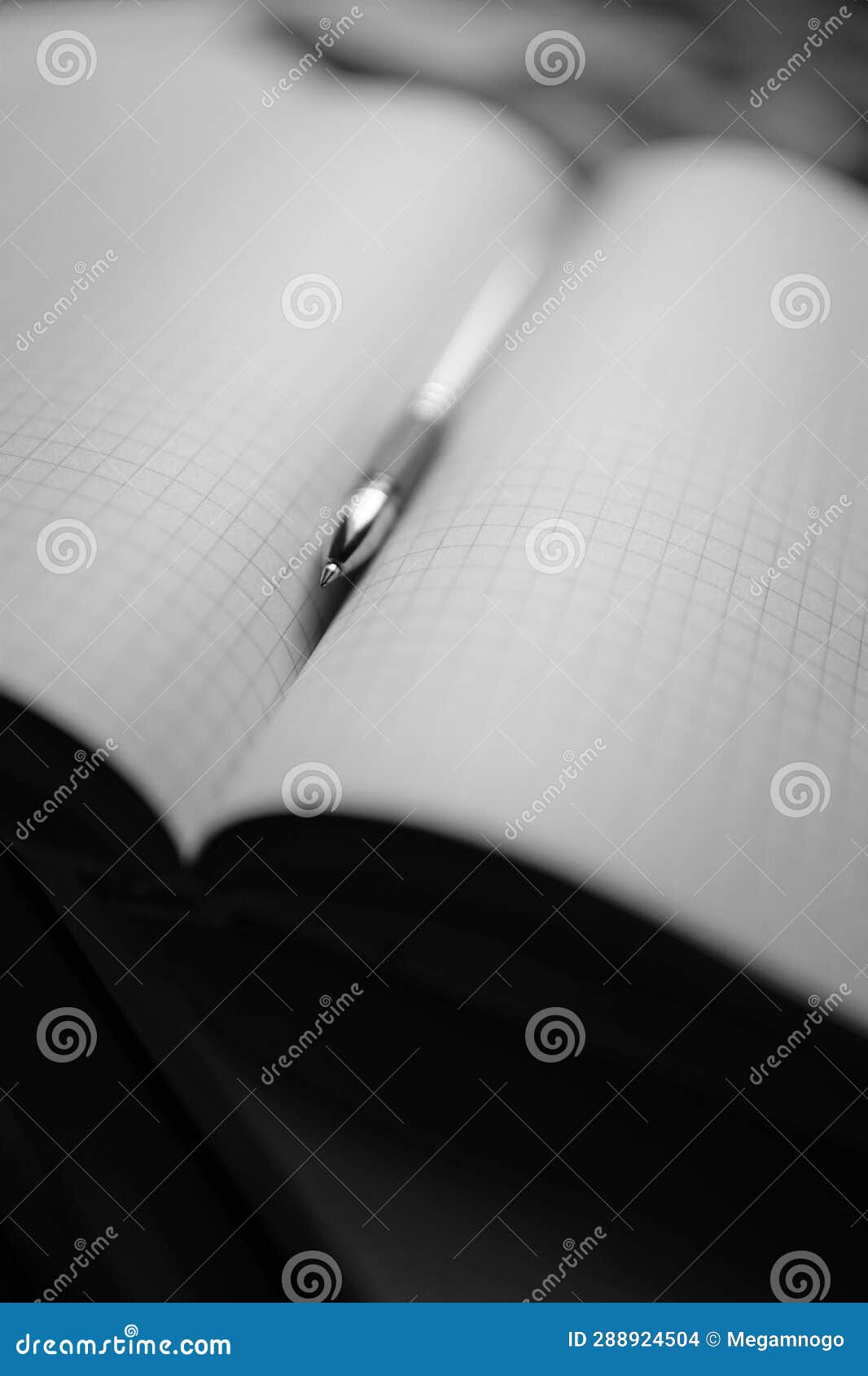 Ballpoint Pen on Squared Notebook Paper Stock Photo - Image of space ...