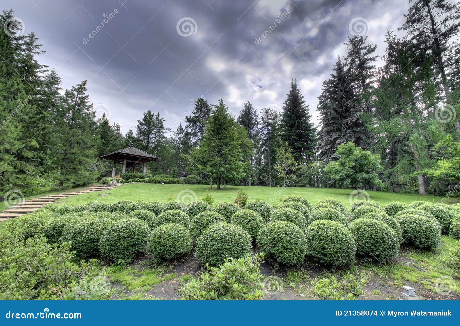 Balls of Bush stock photo. Image of greenery, nature - 21358074