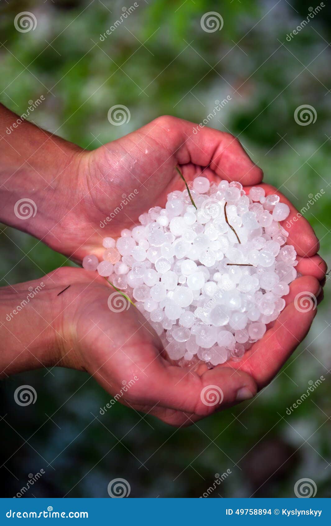 Balls of hail stock photo. Image of cold, summer, water - 49758894
