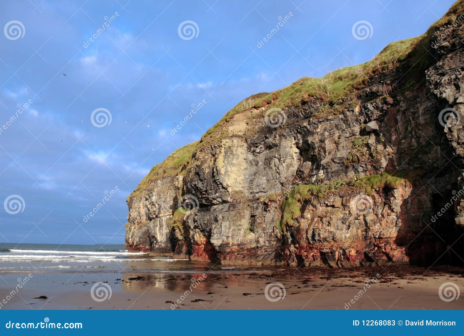 Ballybunion Beach Cliff Gulls Stock Image - Image of cliffs, landscape ...