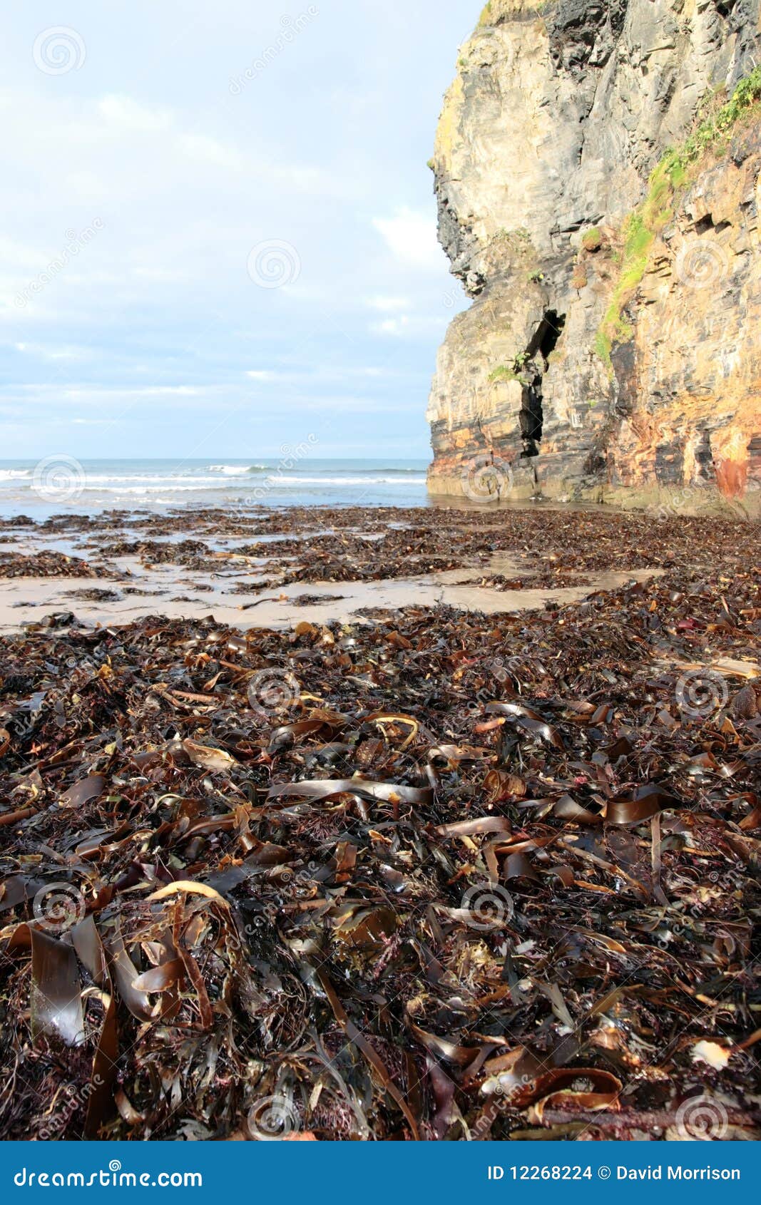 Ballybunion Beach Cliff Seaweed Stock Photo - Image of heritage ...
