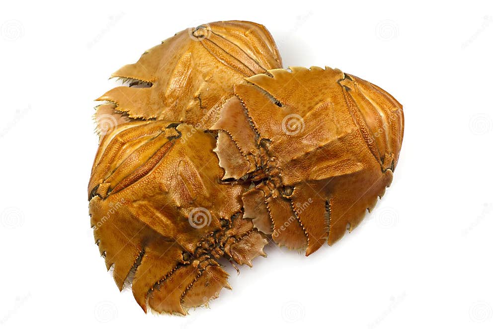 Balmain Bugs stock photo. Image of gourmet, cooked, lobster - 24333212