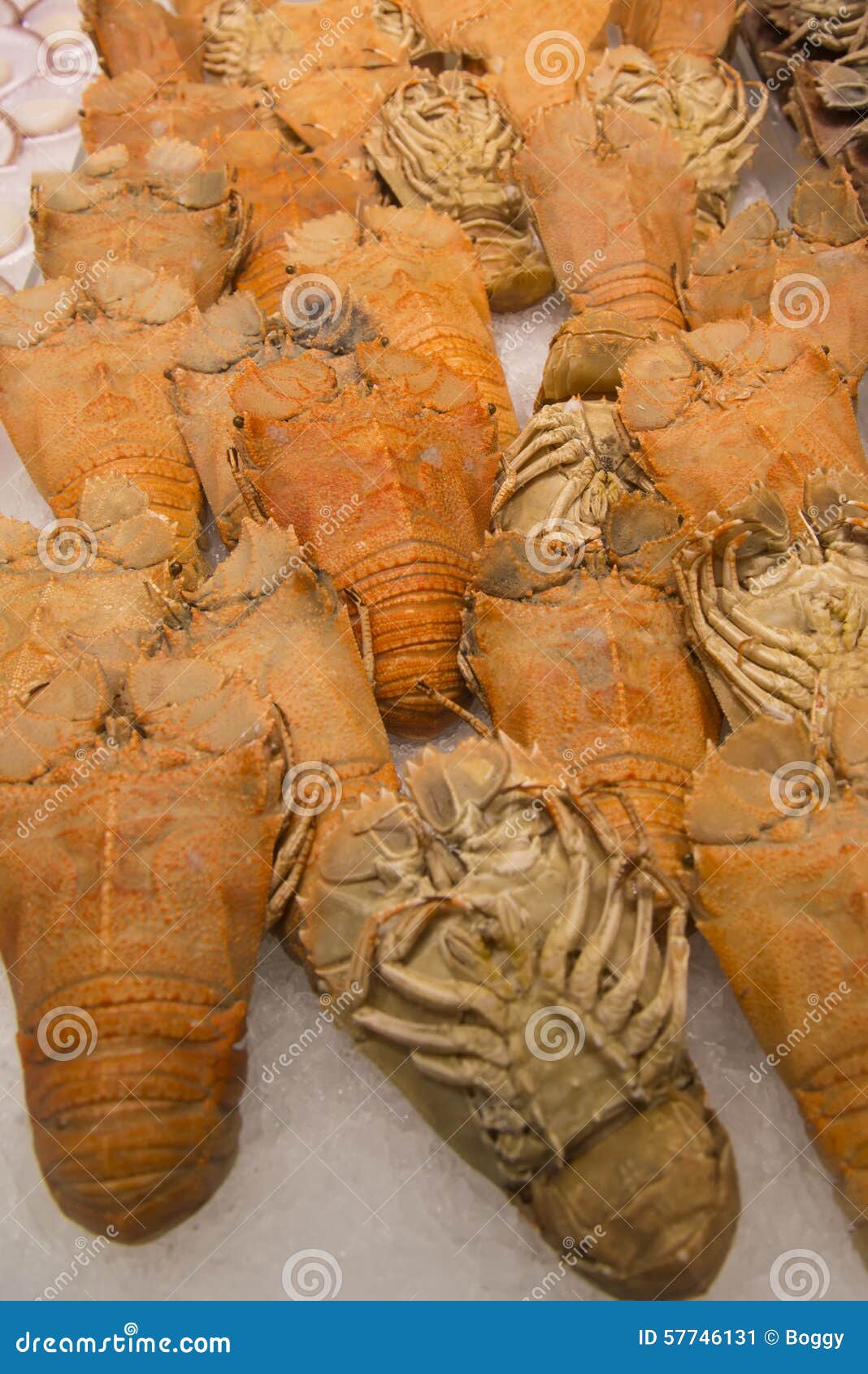 Balmain bugs stock image. Image of balmain, meal, sydney - 57746131