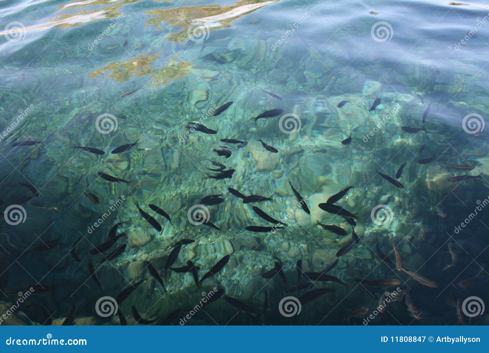 Balmorhea Spring stock image. Image of cool, solomon - 11808847