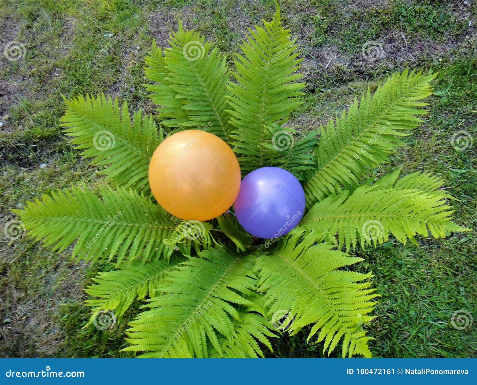 Baloney стоковое изображение. изображение насчитывающей малыш - 100472161