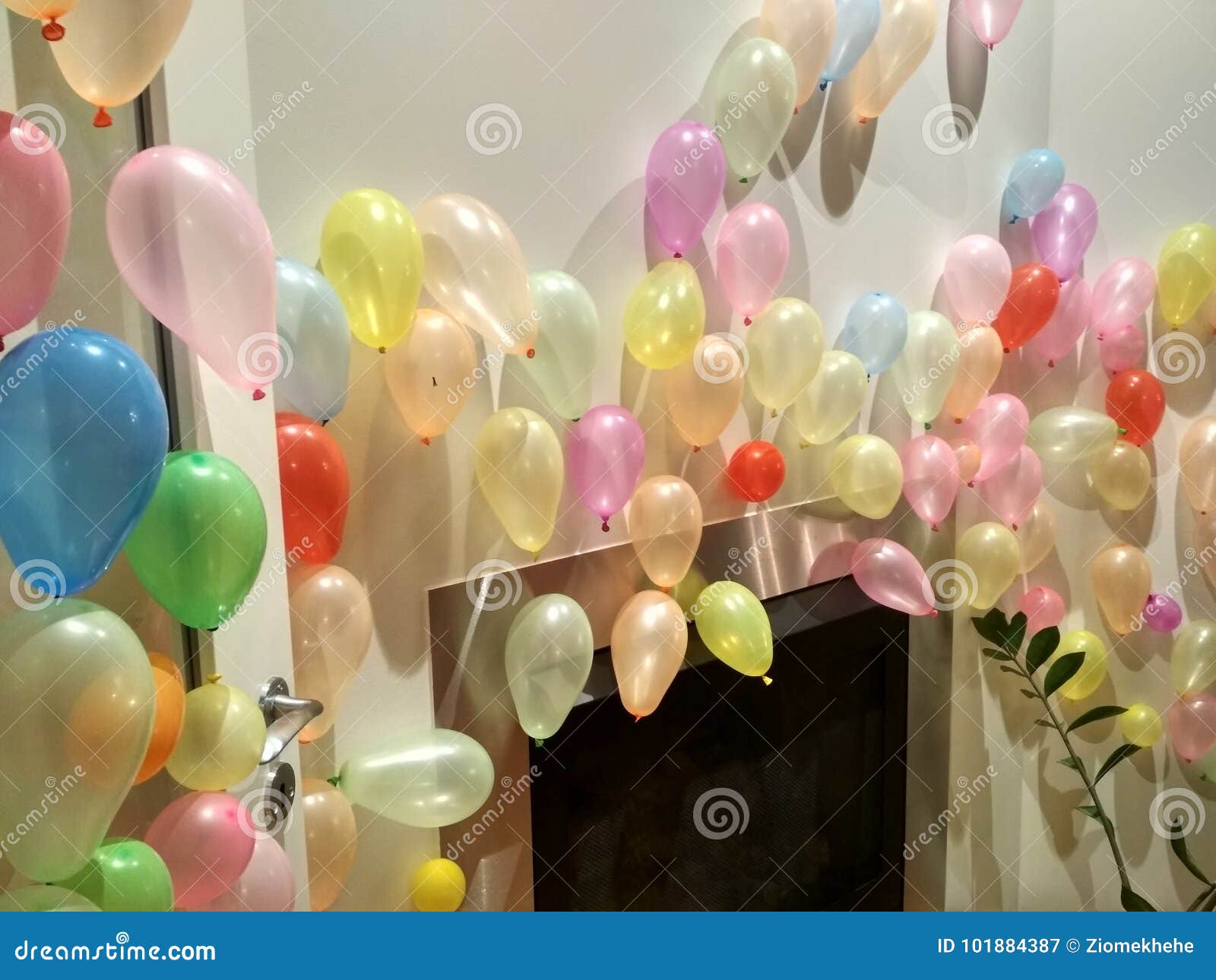 Baloons Color stock image. Image of pink, balloon, baloons - 101884387