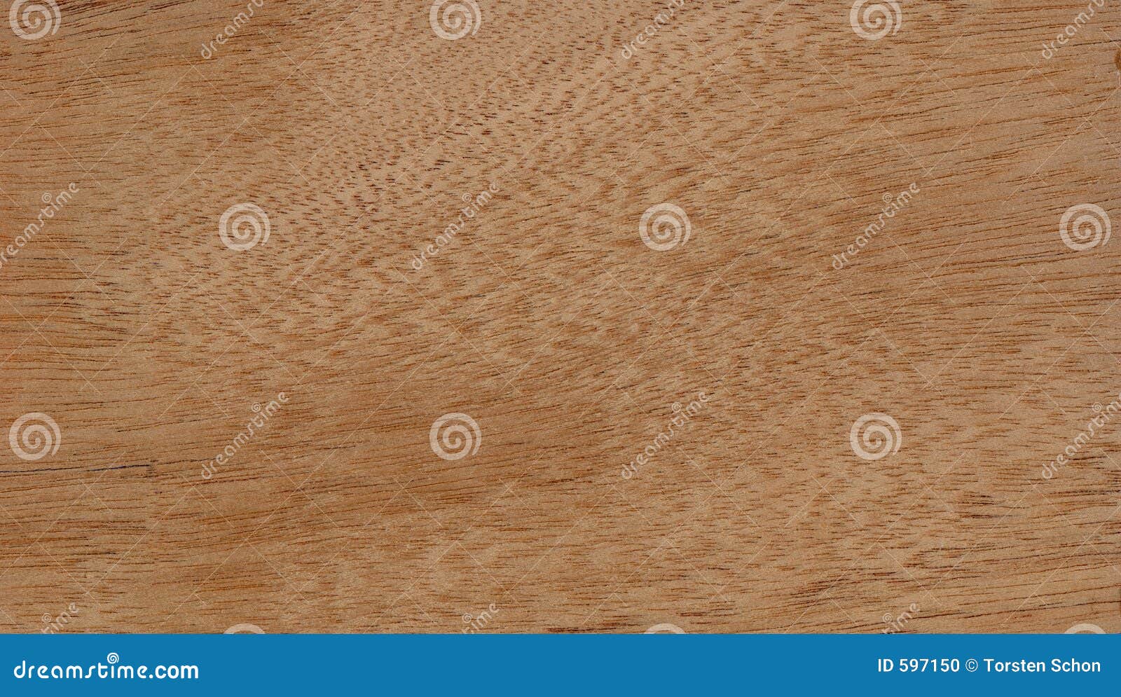 Balsa sheet stock photo. Image of texture, closeup, detail - 597150