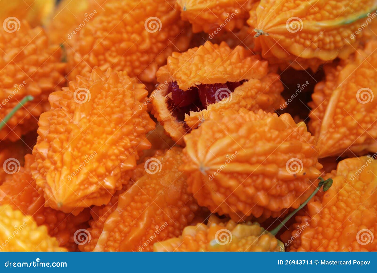 Balsam Apple, Balsam Pear, Bitter Cucumber, Bitter Gourd, Bitter ...