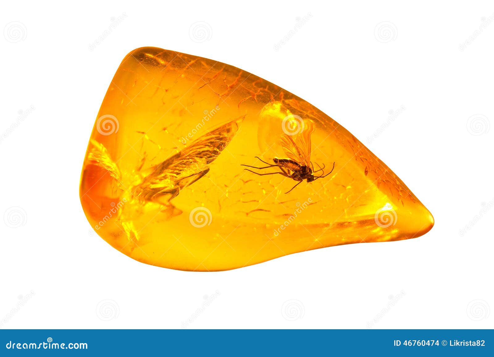 Baltic Amber with Inclusion. Stock Photo - Image of geology, color ...