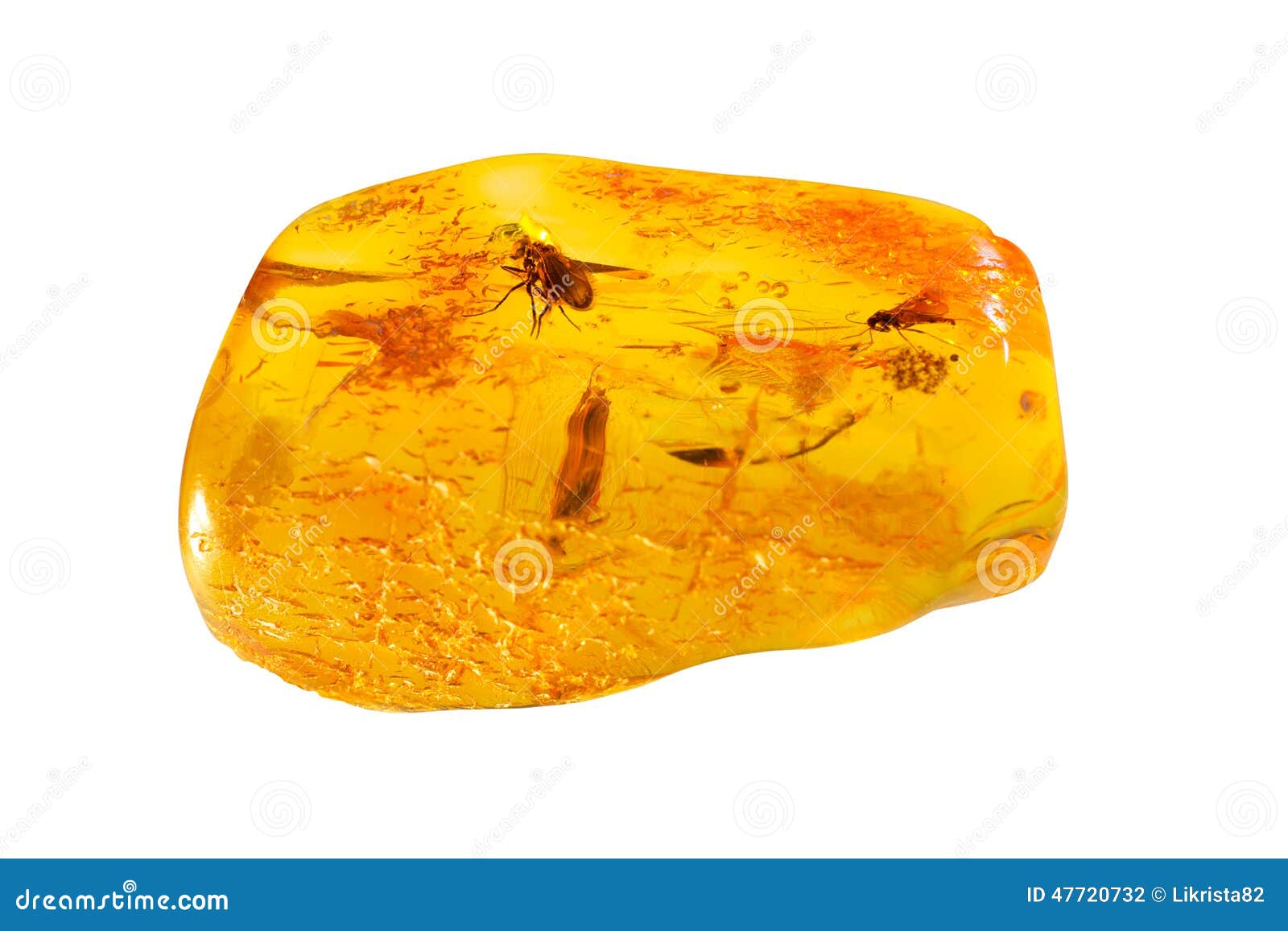 Baltic Amber with Inclusion. Stock Photo - Image of elements, amorphous ...