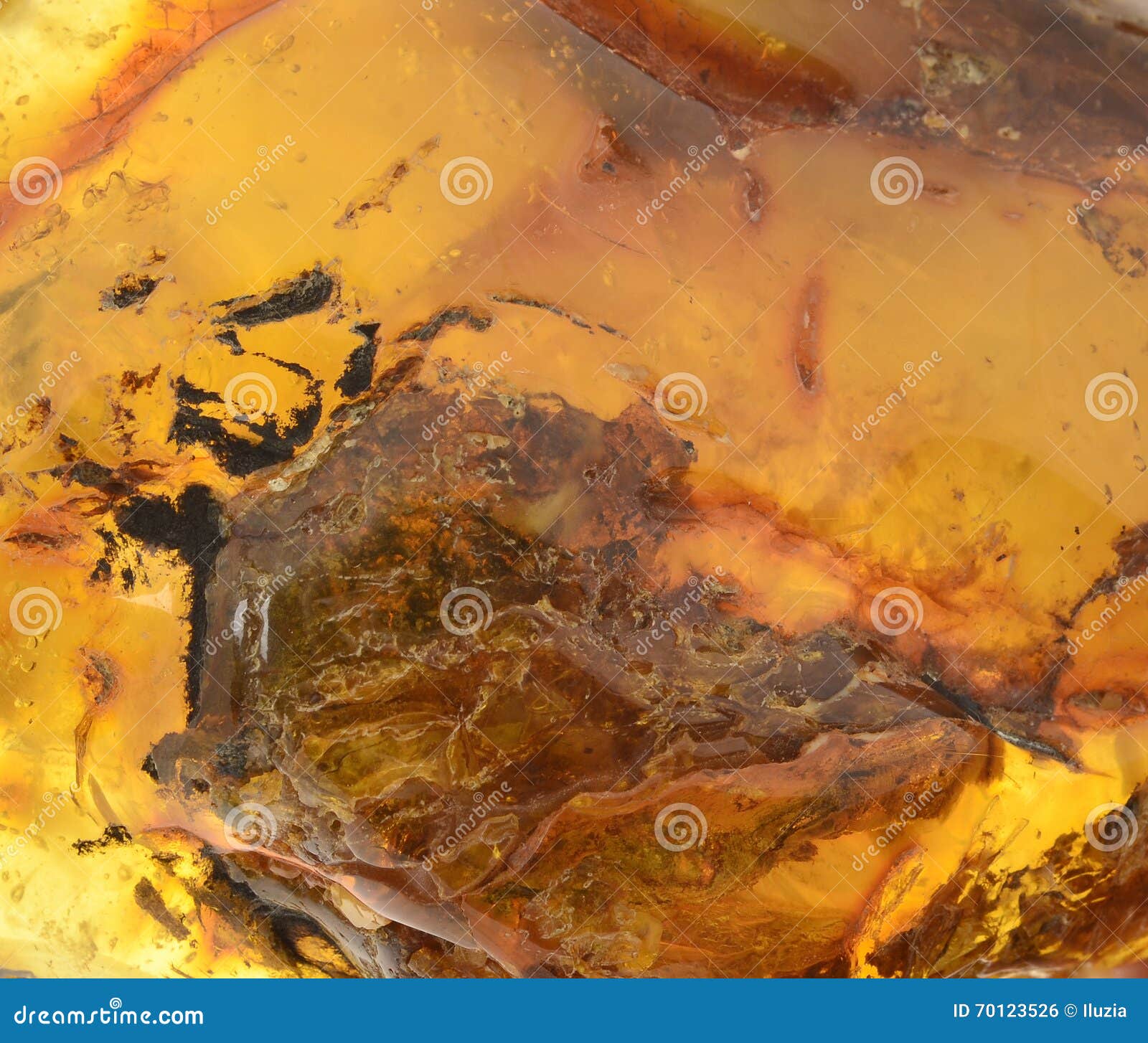 Baltic amber stock photo. Image of frame, jewelry, abstract - 70123526