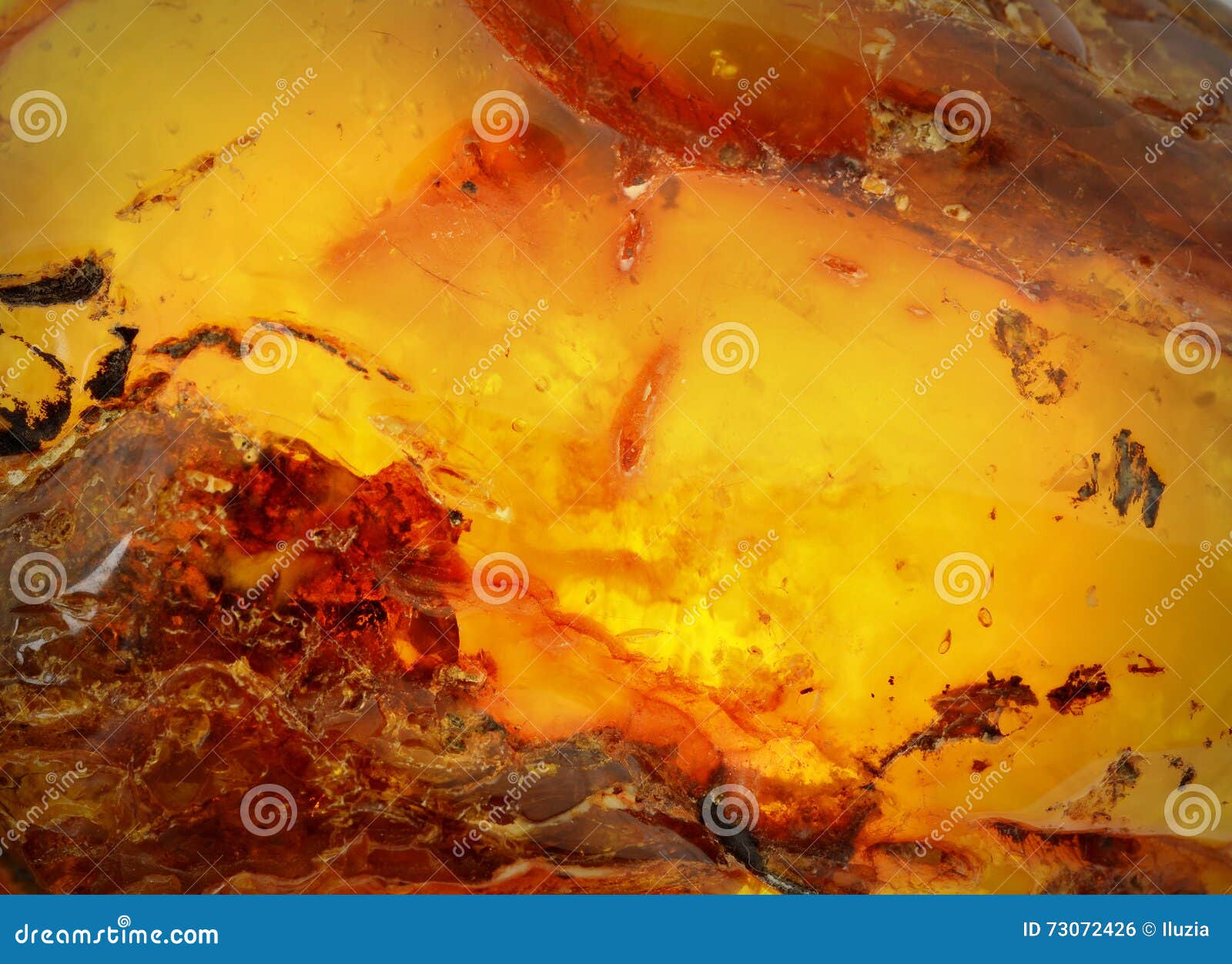 Baltic Amber, Resin Segments Stock Photo - Image of bright, effect ...