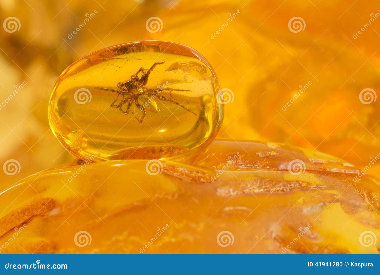 Baltic Amber Spider stock photo. Image of polished, stones - 41941280