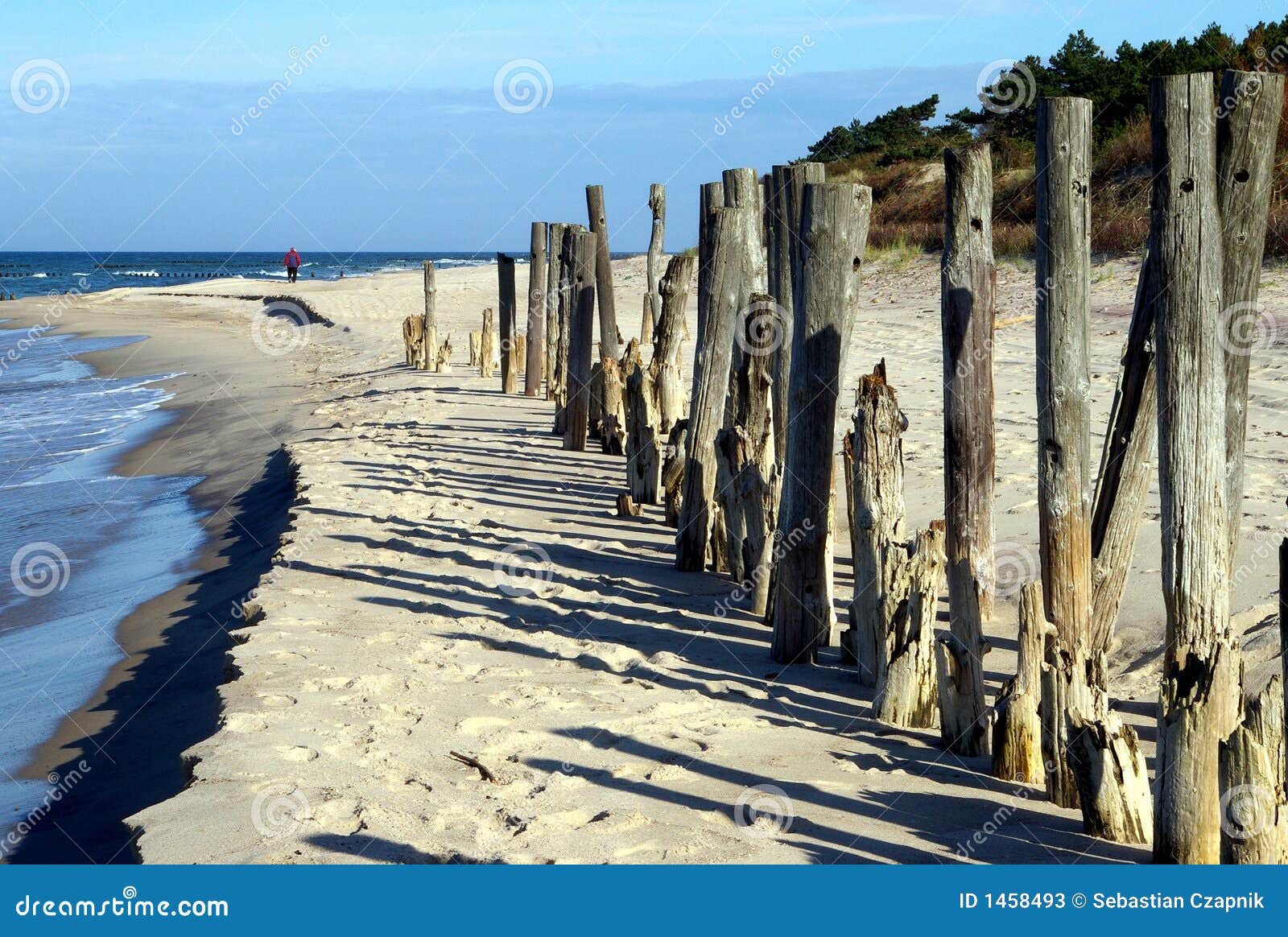 Baltic beach stock image. Image of poles, baltic, sand - 1458493